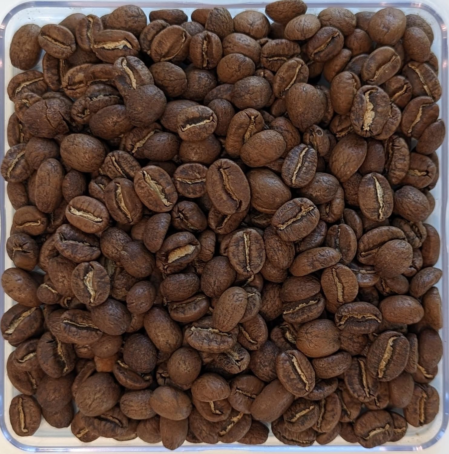 Peaberry Coffee Lab 5 libras café colombiano Huila Colombia café ...