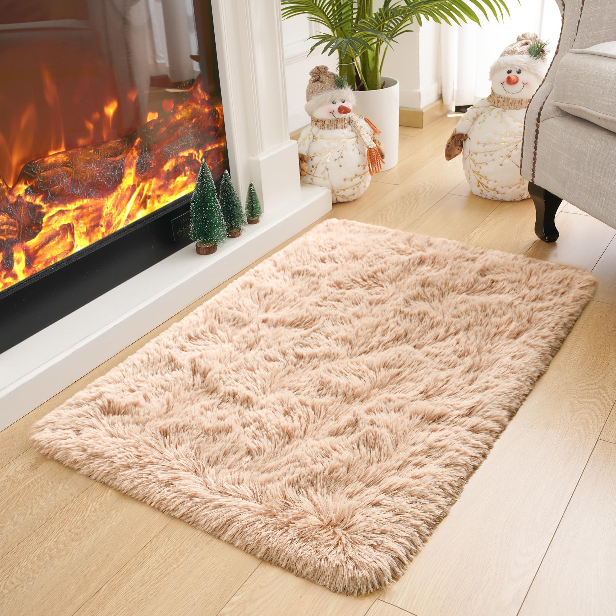 Amazon.com: Rostyle Fluffy Small Beige Rugs for Bedroom,2x3 Shaggy ...