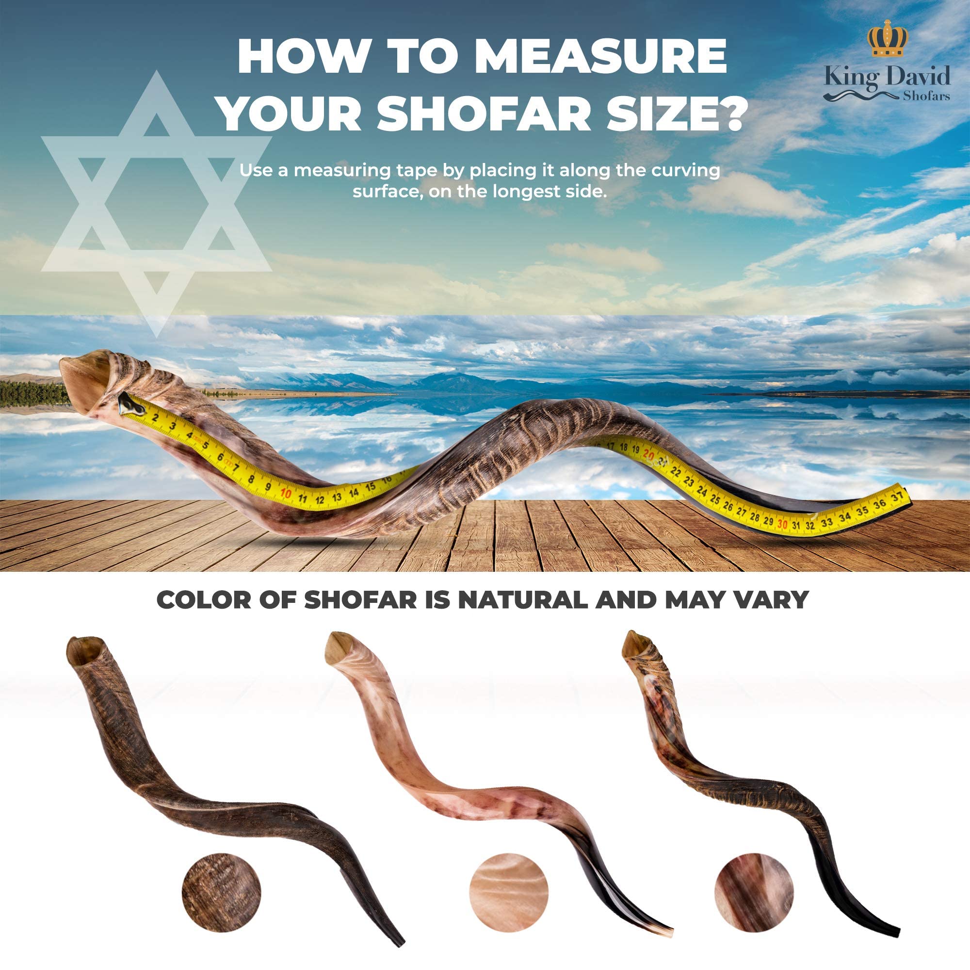 Snapklik.com : Kosher Jewish Kudu Blowing Horn Instrument Shofar From ...
