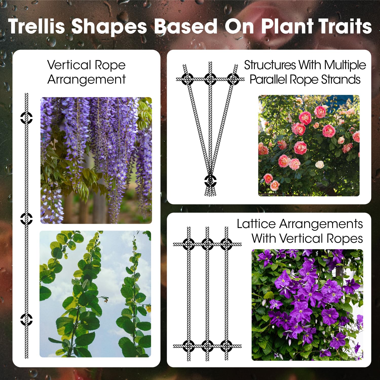 Snapklik.com : RiaYer Stainless Steel Trellis Wire Kit For Climbing ...