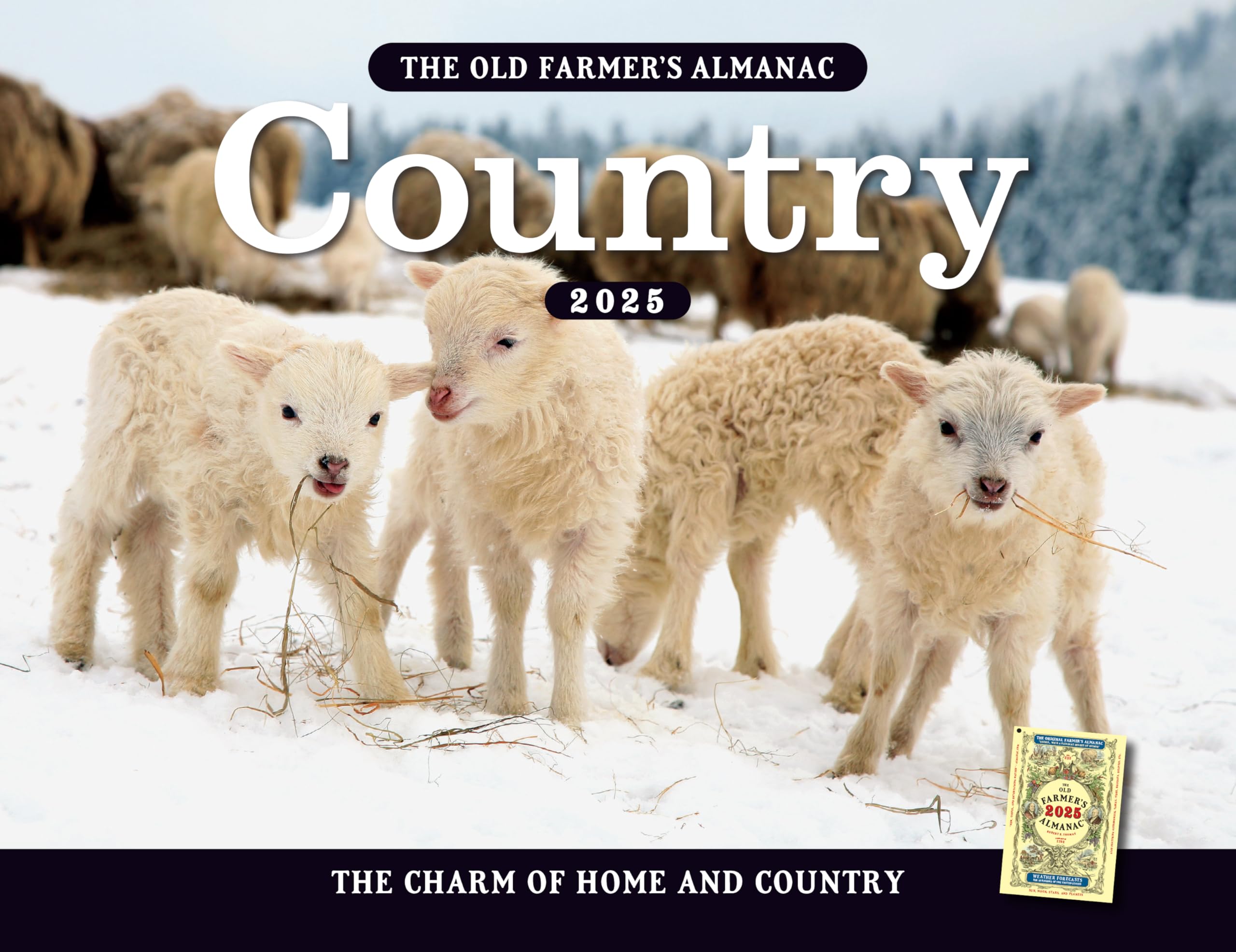 The 2025 Old Farmer's Almanac Country Wall Calendar: Old Farmer's ...