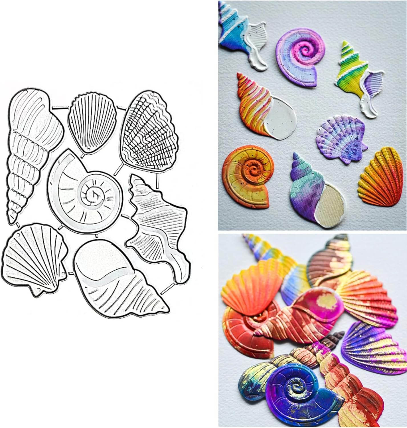 Amazon.com : 7pcs/Set Shell Metal Die Cuts,Shells Conch Frame ...