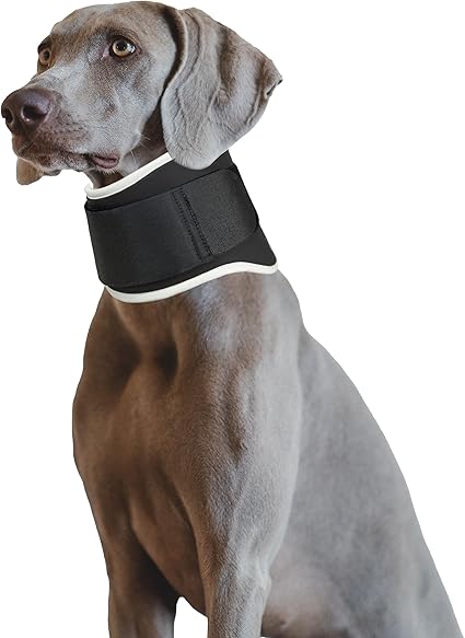 Amazon.com : BUVUB Dog Neck Brace Supports Pet's Necks with Cervical ...