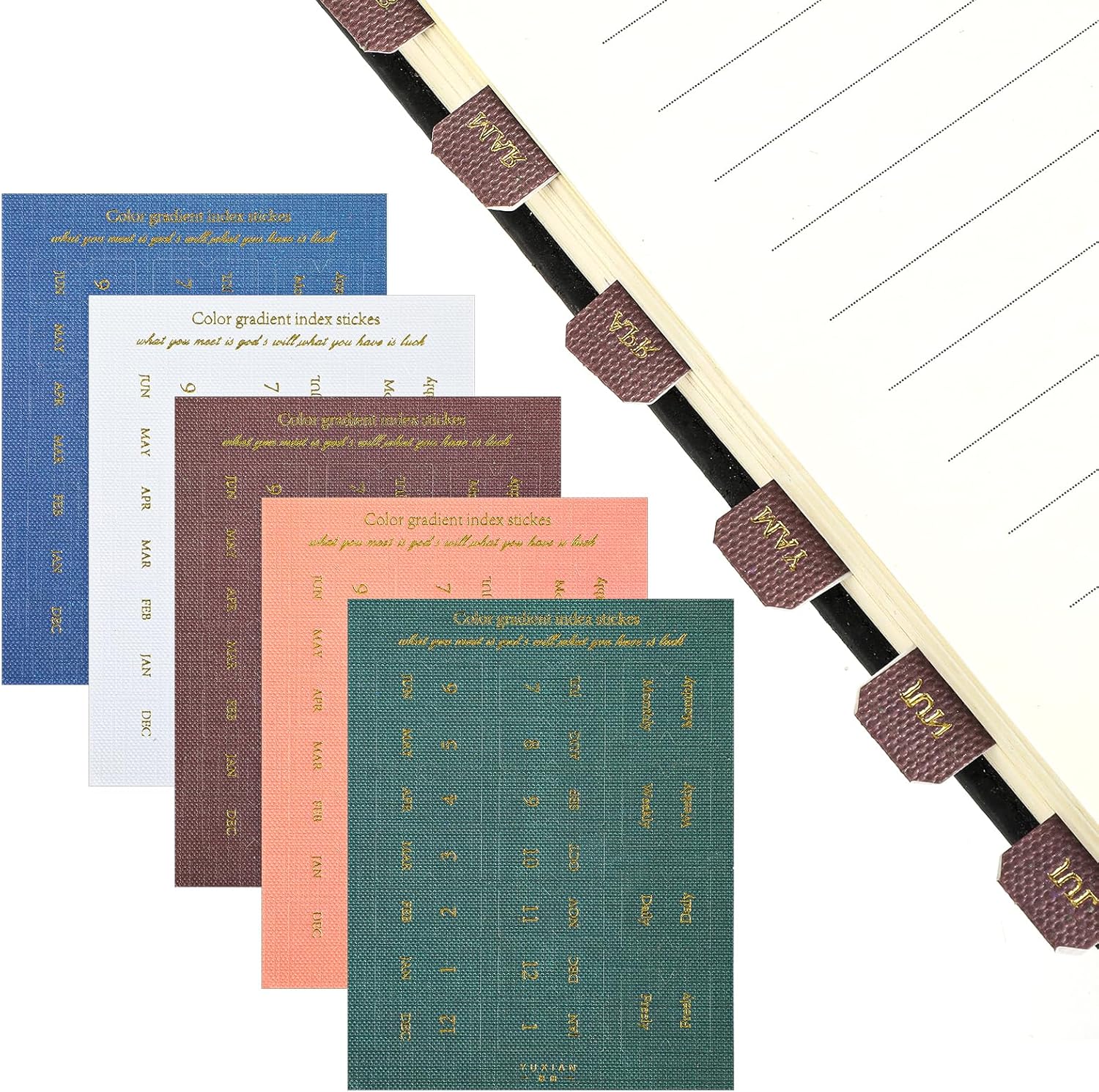 Amazon.com : 10 Sheets Monthly Tabs for Planners Adhesive Index Page ...