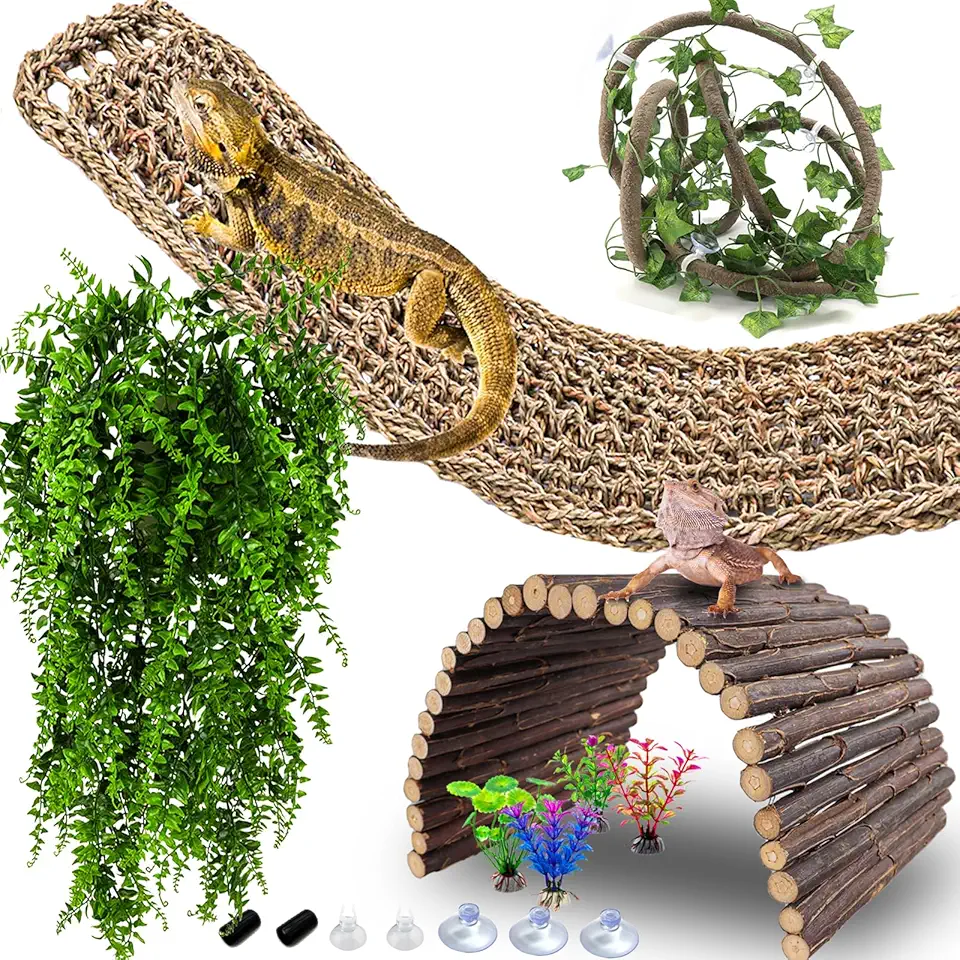 Understanding The Different Body Parts Of A Bearded Dragon | PetShun