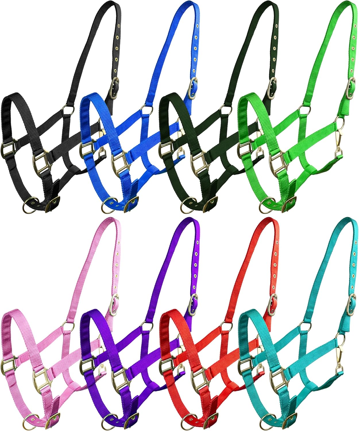 Amazon.com: Adjustable Cob Size Triple Ply Nylon Halter : Sports & Outdoors