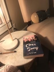 Amazon.com: Clean Sweep: A Novel eBook : Lee, E. B.: Kindle Store