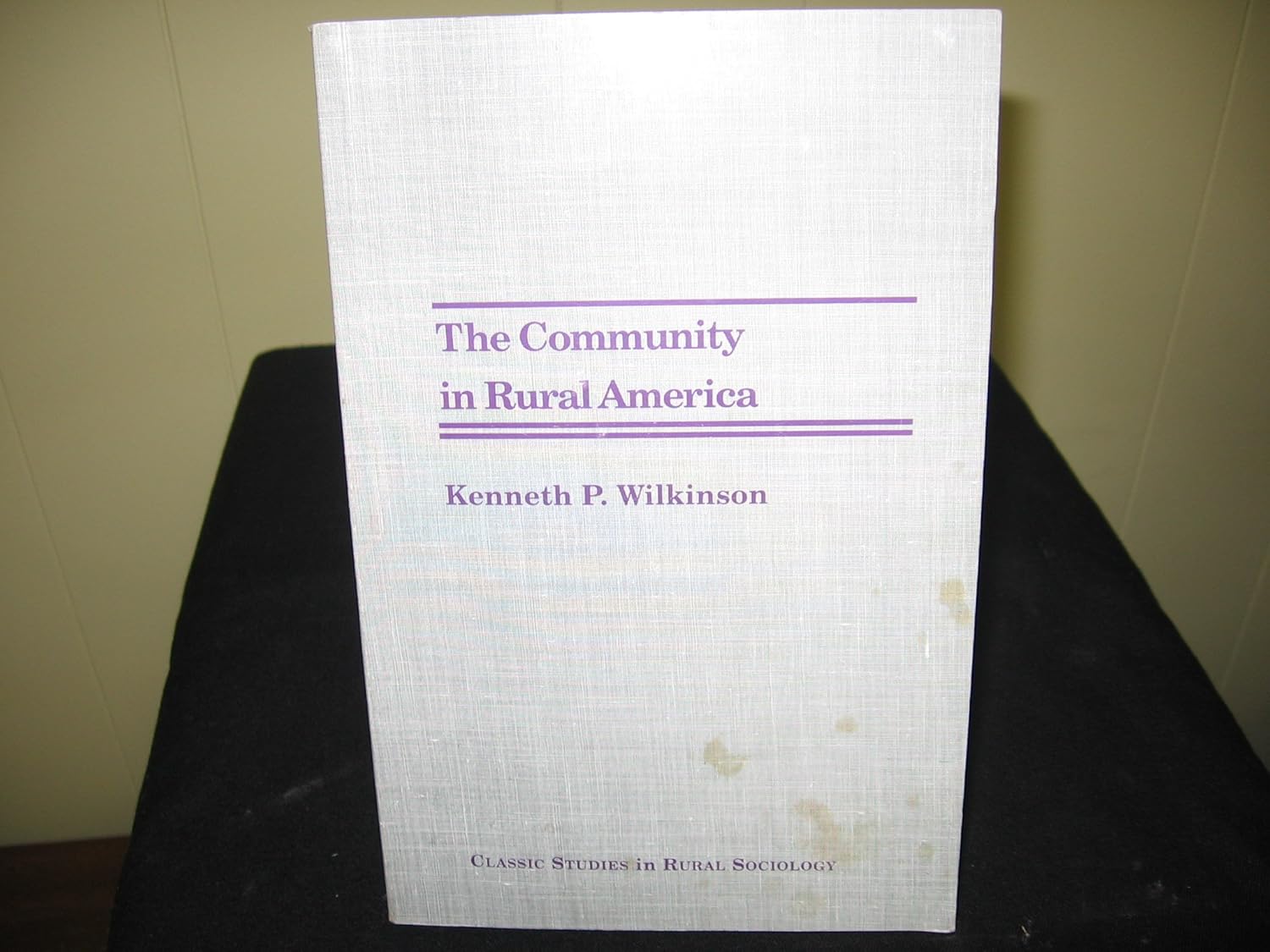 The Community in Rural America: Wilkinson, Ken: 9780941042260: Amazon ...