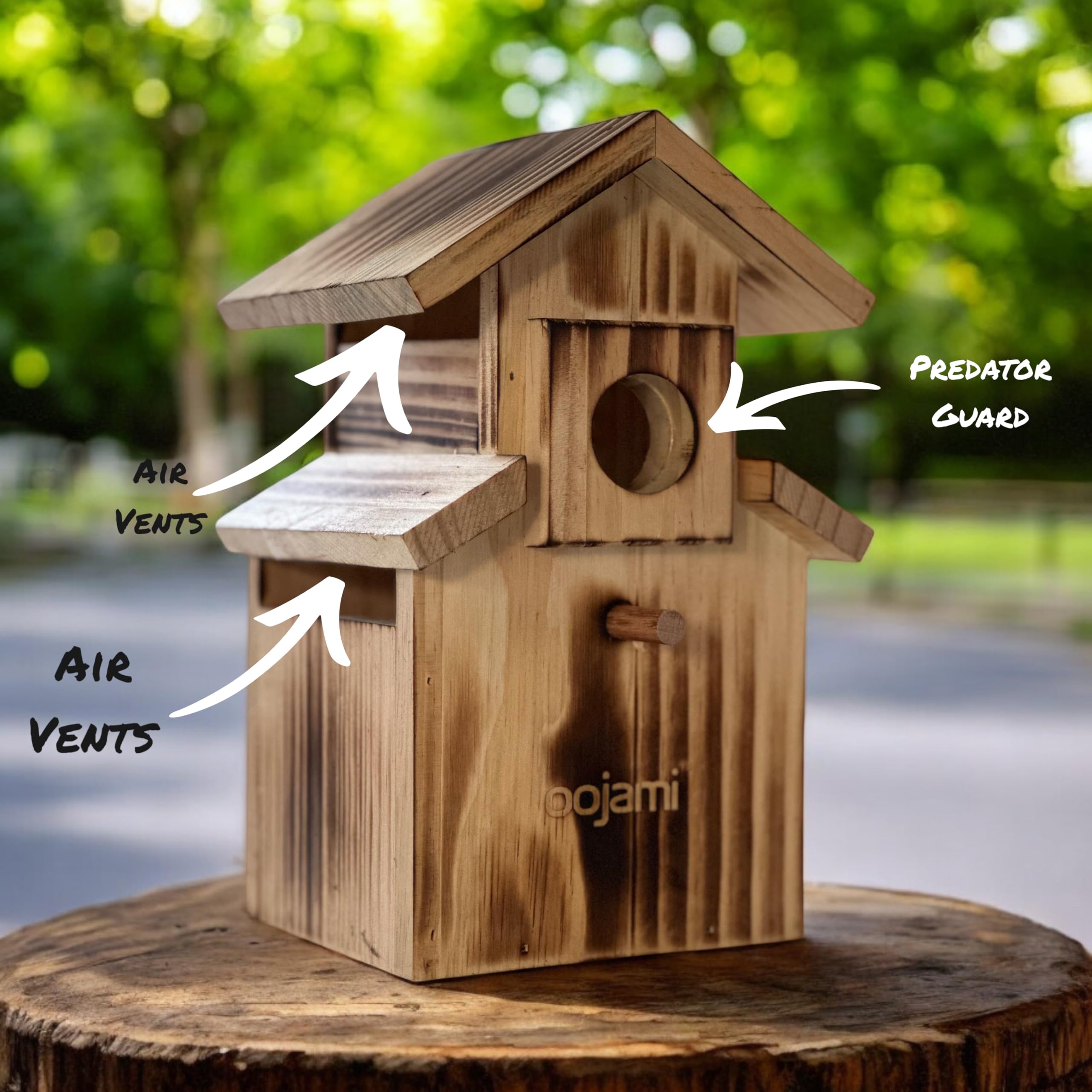 Snapklik.com : Bird House For Bluebird, Finch, Wren, Chickadee, Tree ...