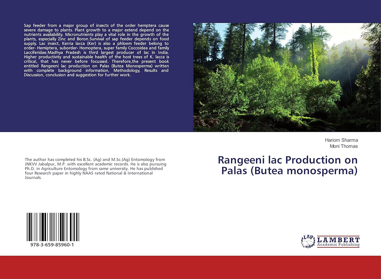 Rangeeni lac Production on Palas (Butea monosperma) : Moni Thomas ...