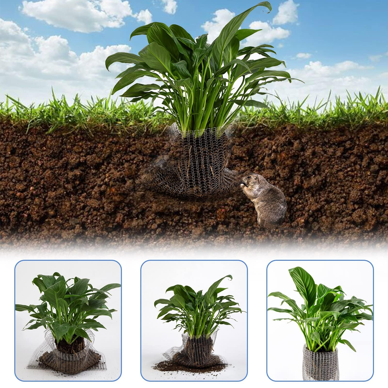 Snapklik.com : 2 Packs 15 Gallon Root Guard Gopher Proof Wire Basket ...