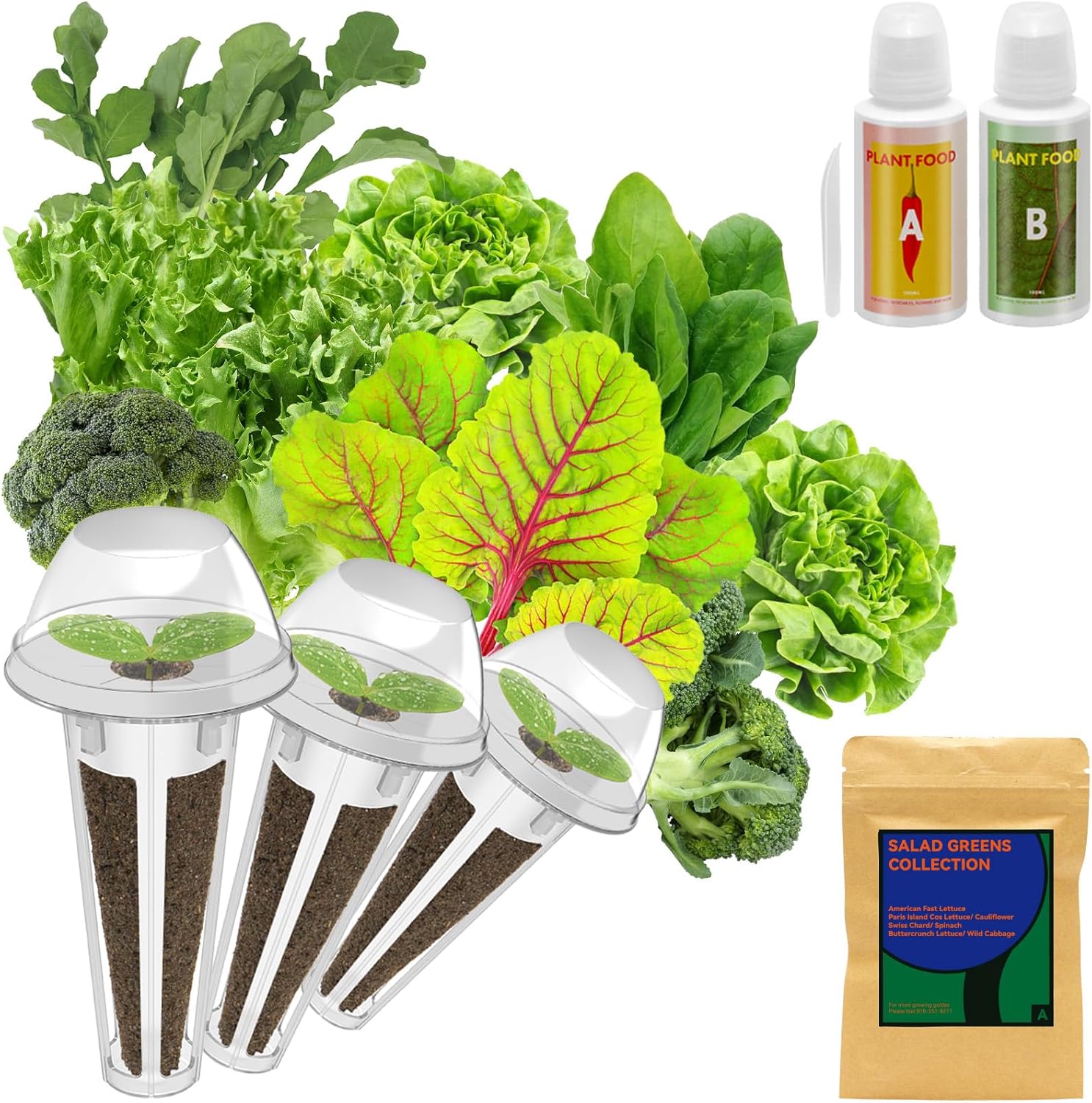 Amazon.com : LYKOCLEAN Salad Greens Seeds Pod for AeroGarden, idoo ...