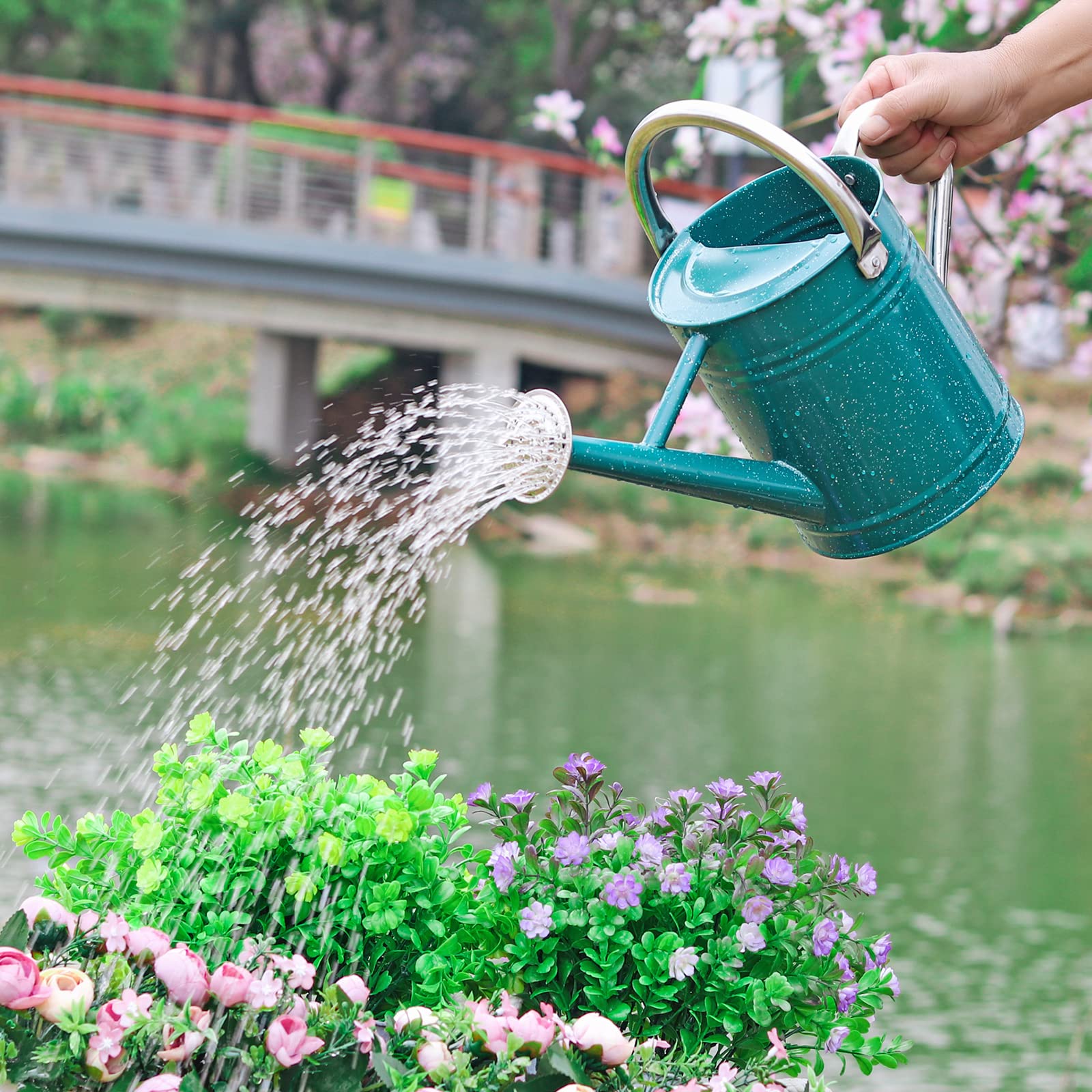Watering Can Flowers