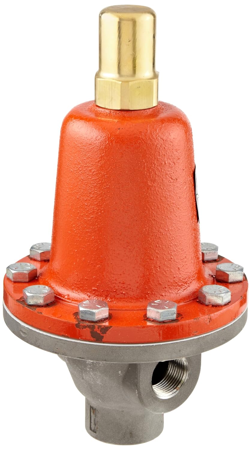 Cash Valve 13699-0030 Stainless Steel Back Pressure Relief Valve ...