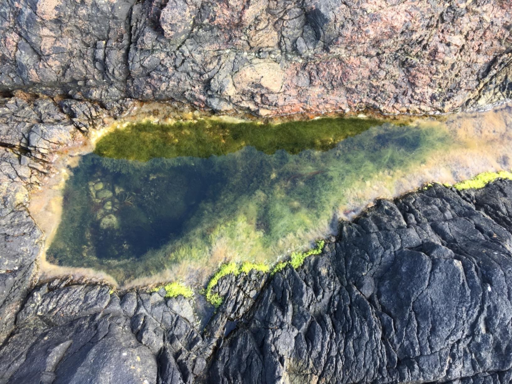 Iona, Staffa & Ross of Mull Map | Weatherproof | Brolass & Ardmeanach ...