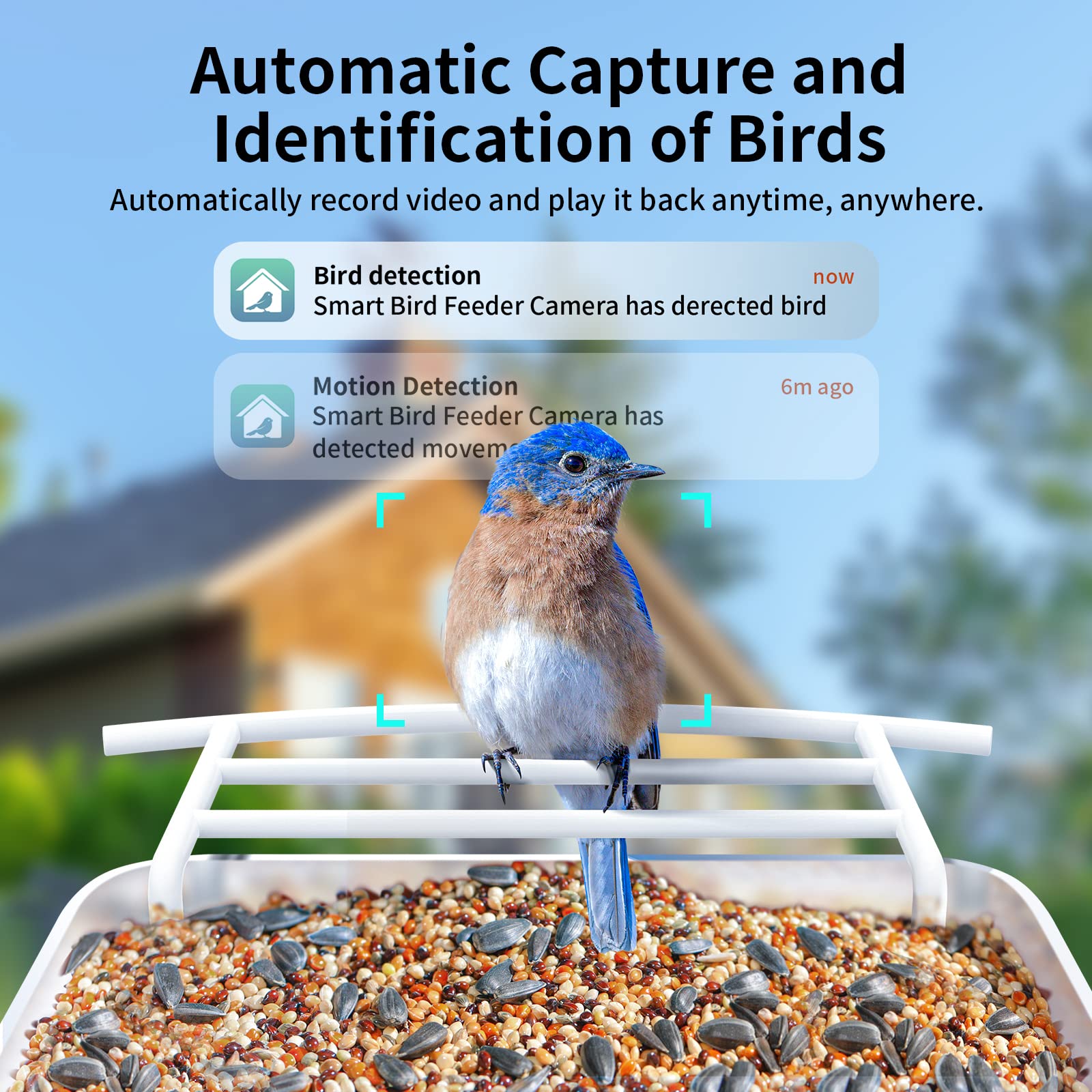 (( USED)) Vziwry Smart Bird Feeder with Camera, Wireless Outdoor, AI ...
