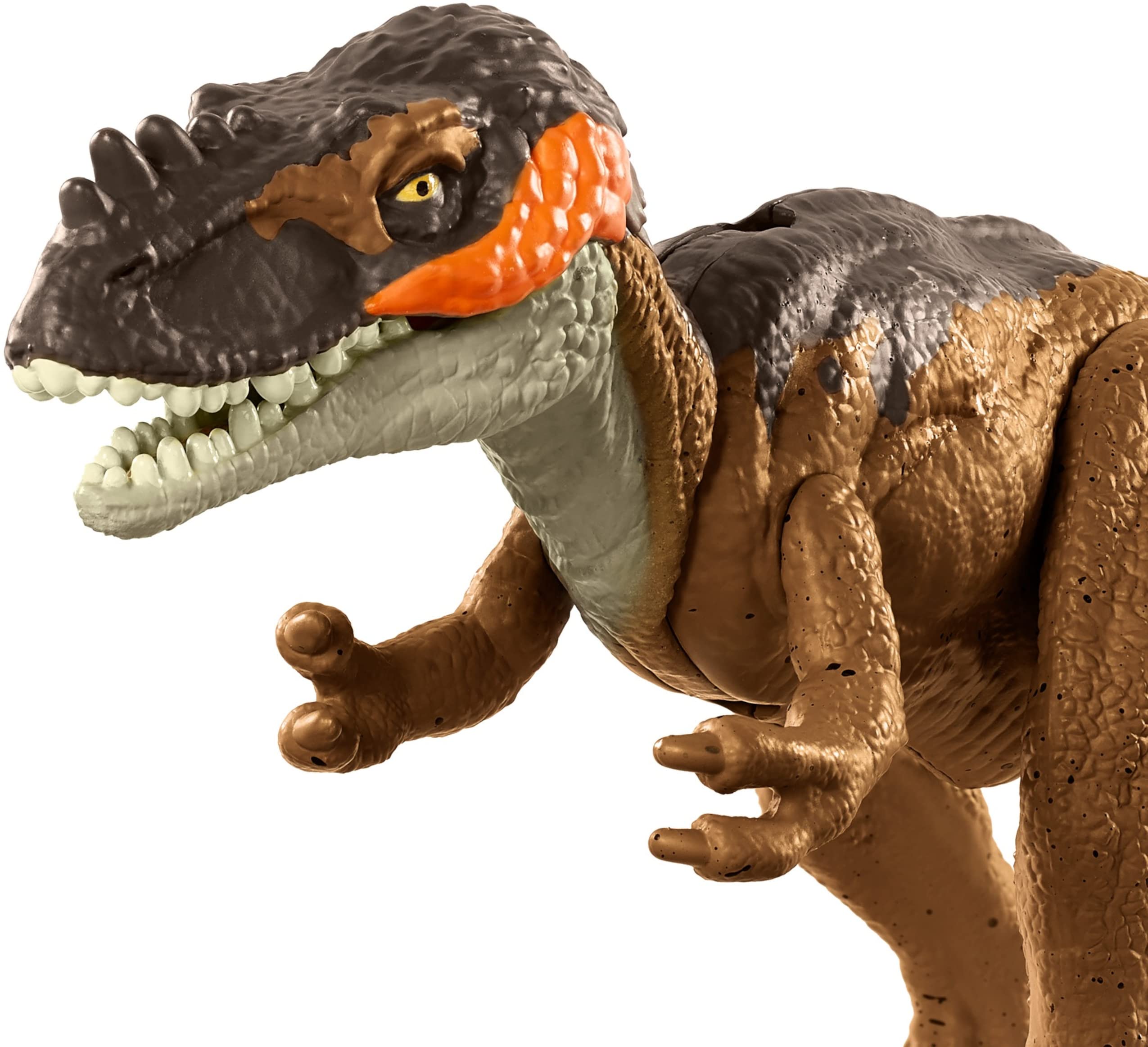 Buy Jurassic World Wild Pack Alioramus Carnivore Dinosaur Action Figure ...