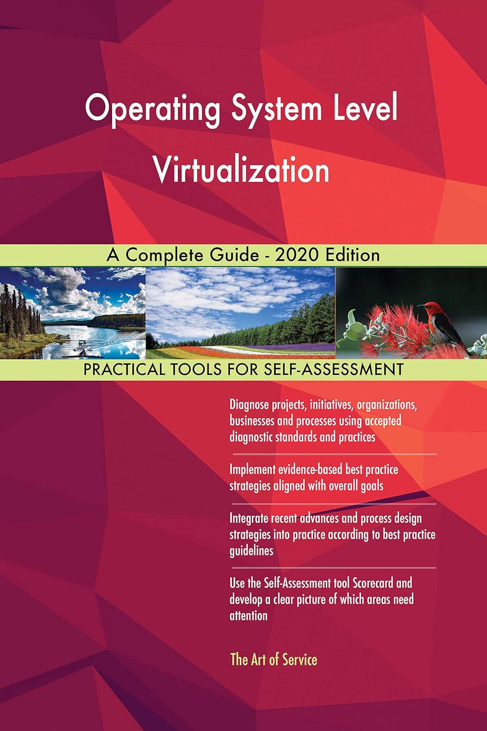 Amazon.com: Operating System Level Virtualization A Complete Guide ...