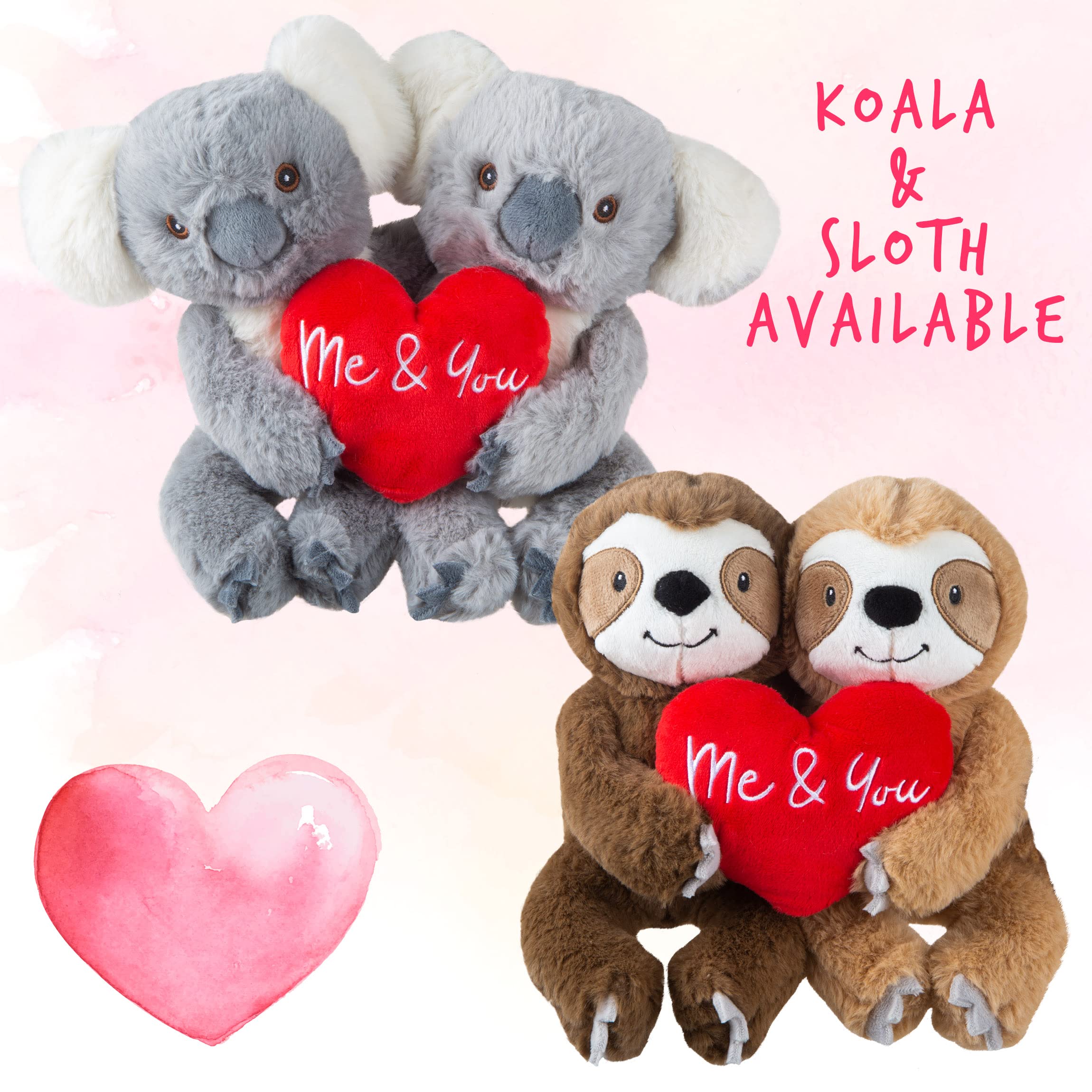 Koala Loves Sloths Wildlife Warriors We LOVE Simba The Koala Joey!