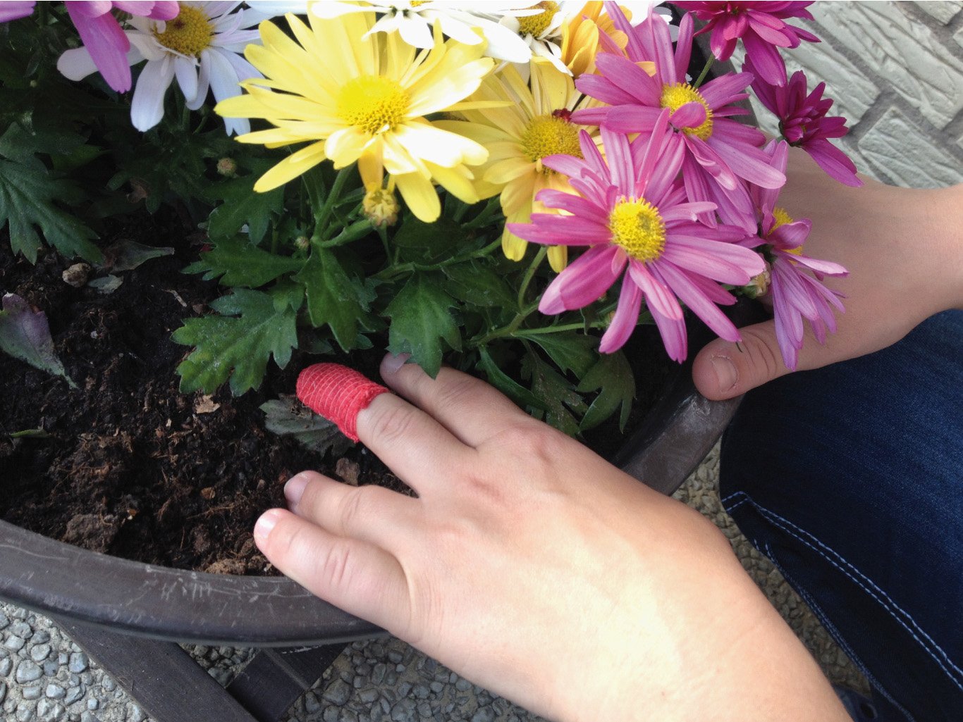 Buy Happyplast First Aid Kit with Non-Adhesive Plaster Roll & Cohesive ...