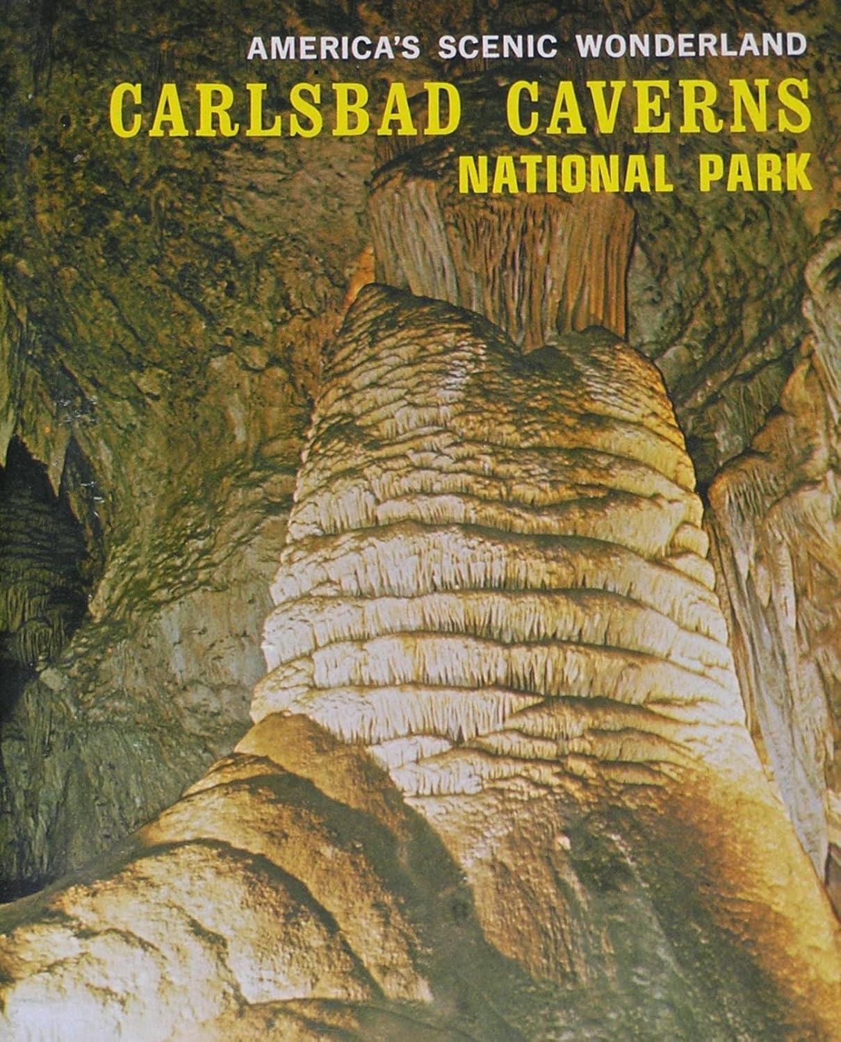 Carlsbad Caverns National Park, New Mexico: John Barnett: Amazon.com: Books