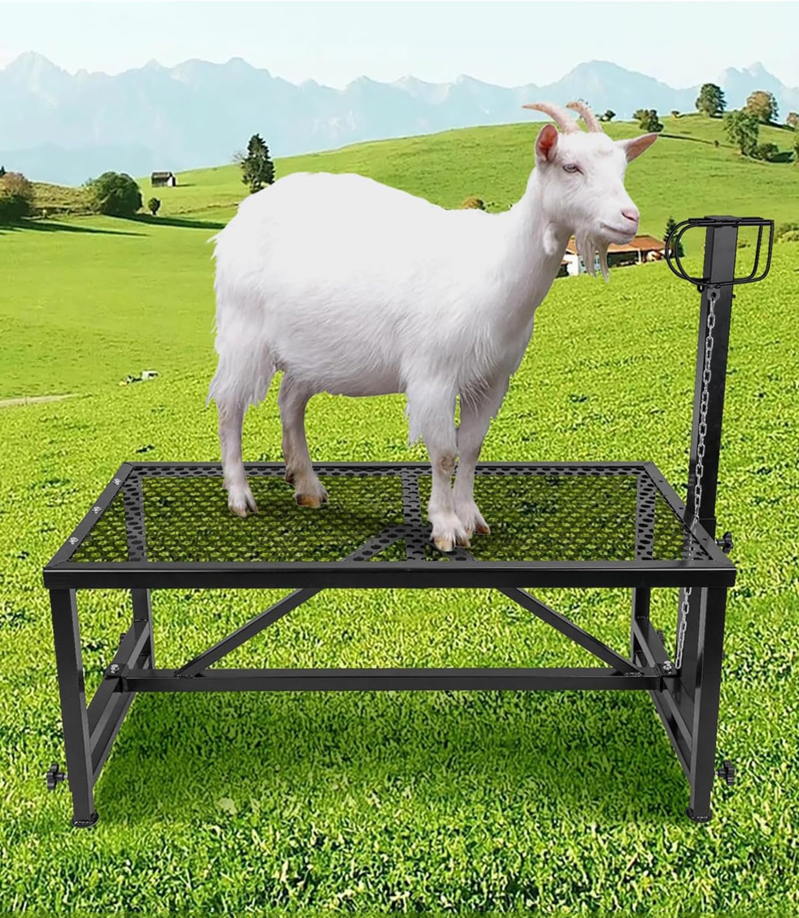 Goat Hoof Trimming Stand WOLWES Adjustable Livestock Trimming Stand For ...