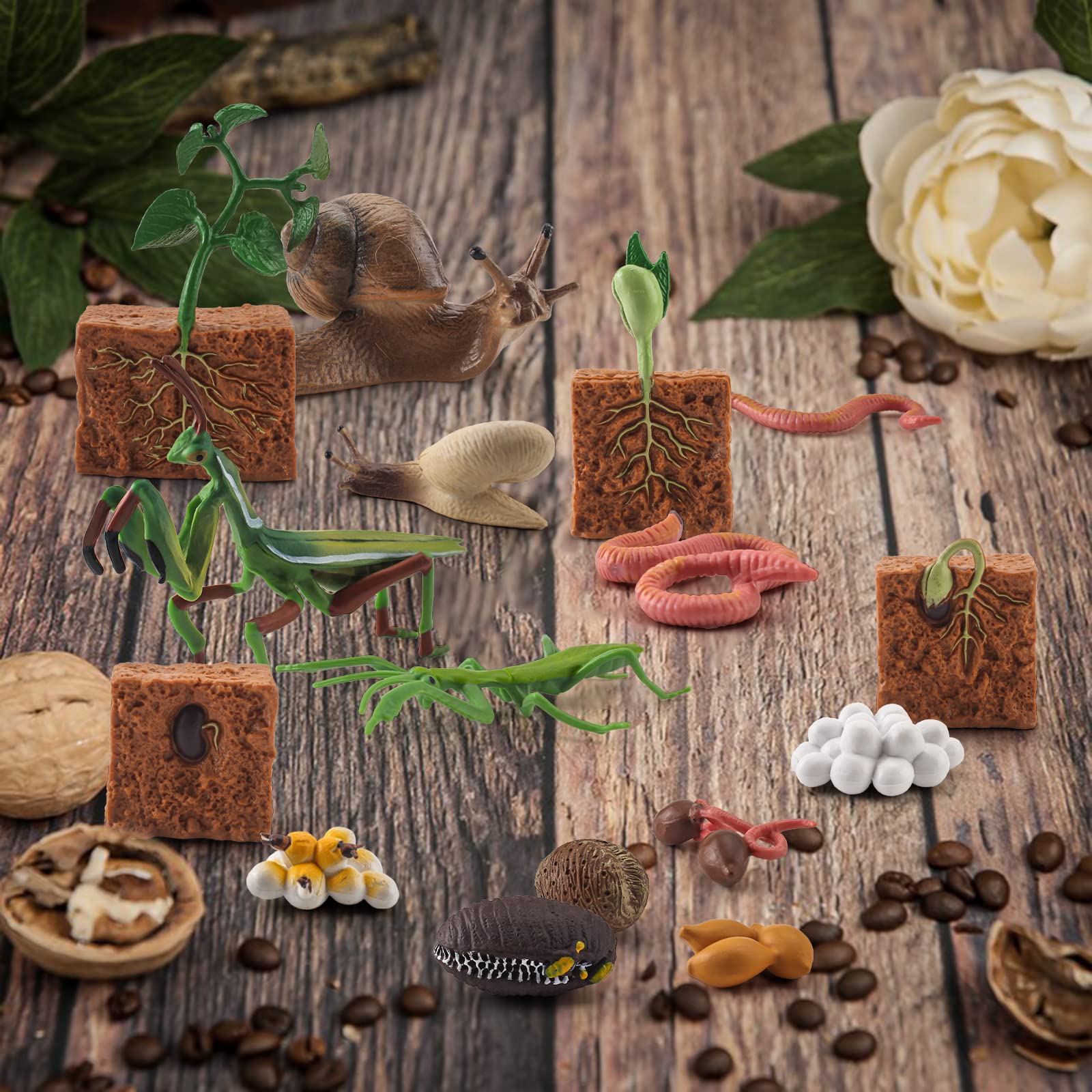 Snapklik.com : WONWONTOYS Farm Animals Figurines Life Growth Cycle Of ...