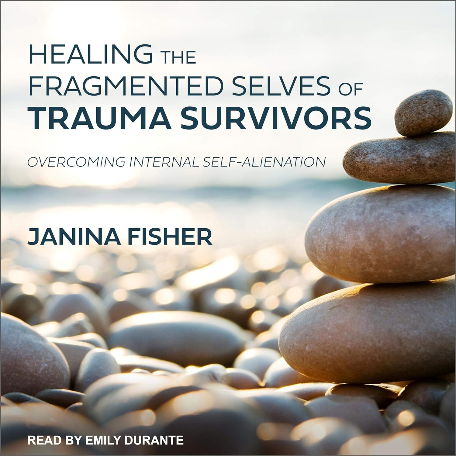 Amazon.com: Healing the Fragmented Selves of Trauma Survivors ...
