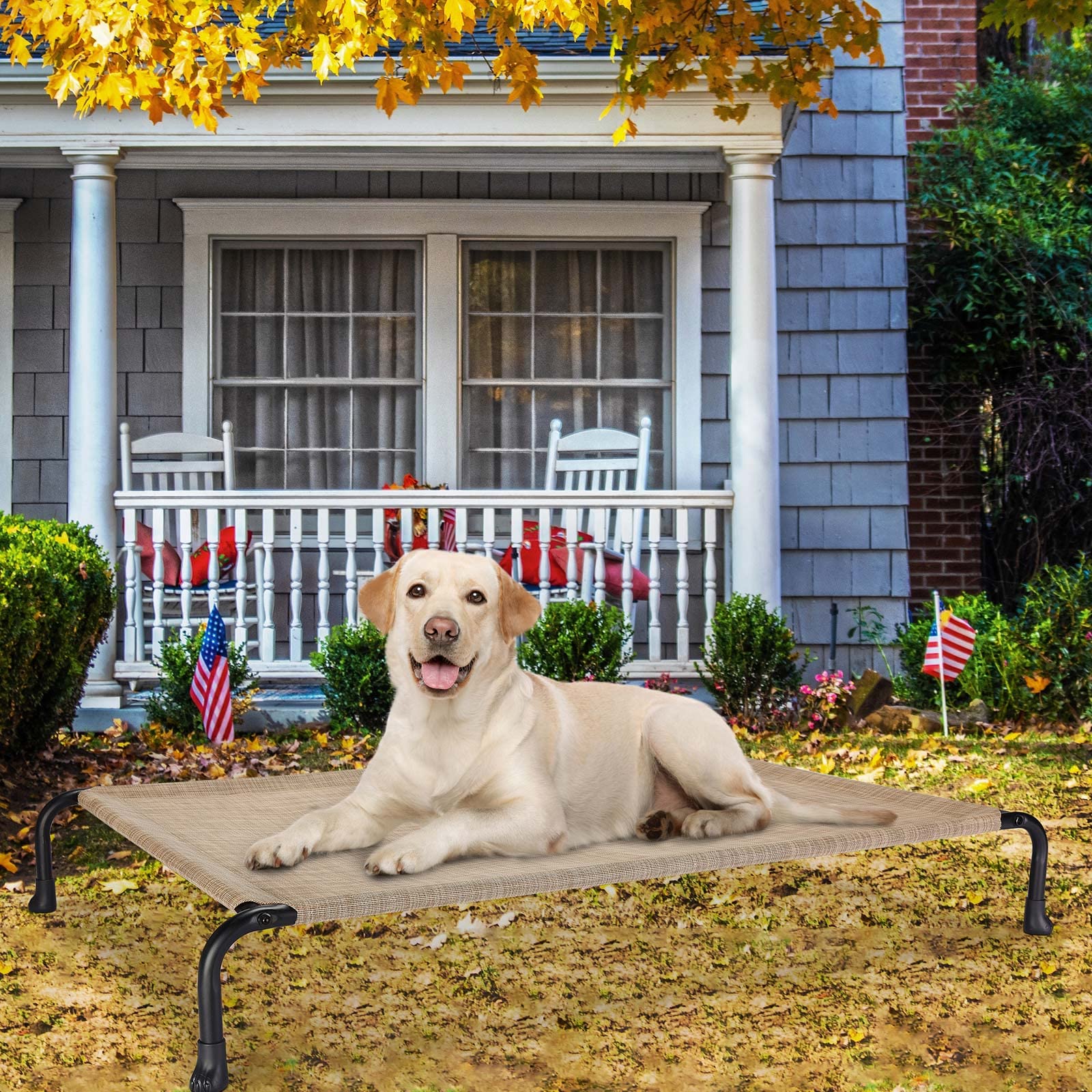 Veehoo Outdoor Elevated Dog Bed, Cooling Raised Dog Cots Beds with No ...
