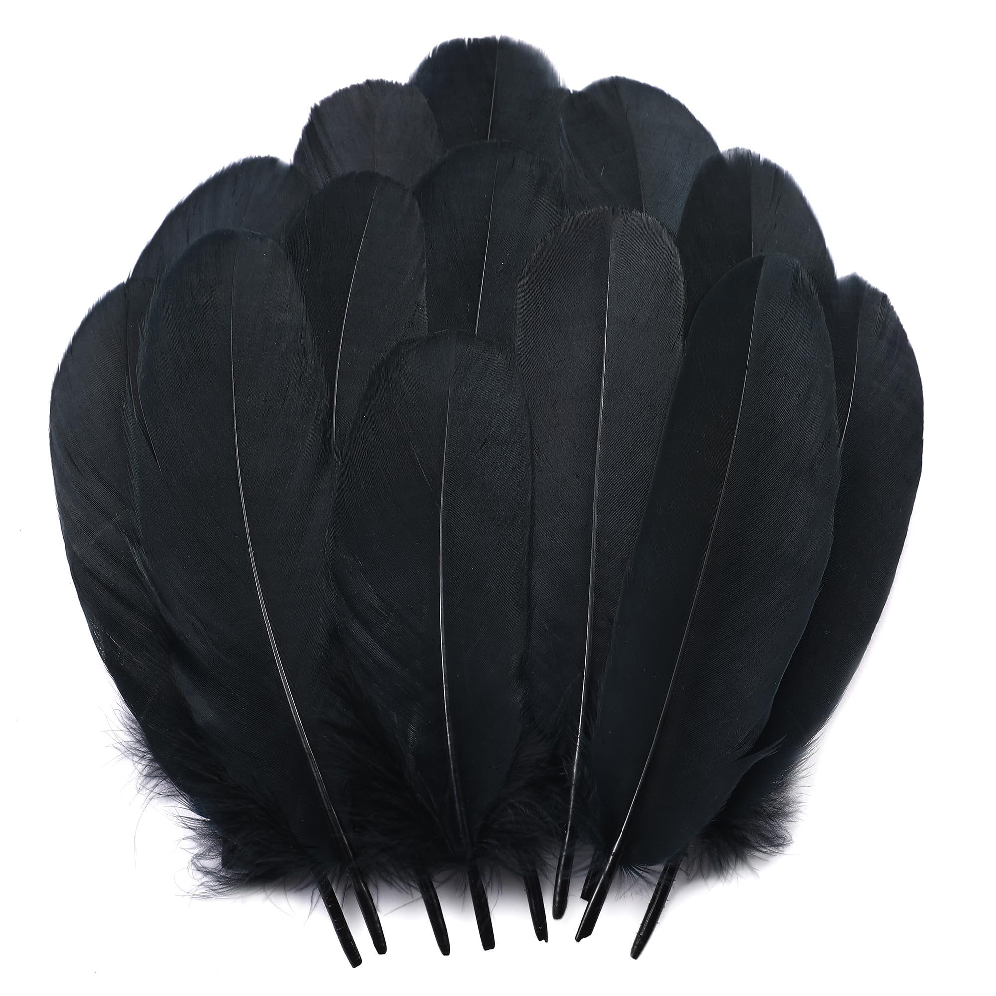 Amazon.com: Holmgren Black Craft Goose Feathers - 200pcs 5-6inch Goose ...