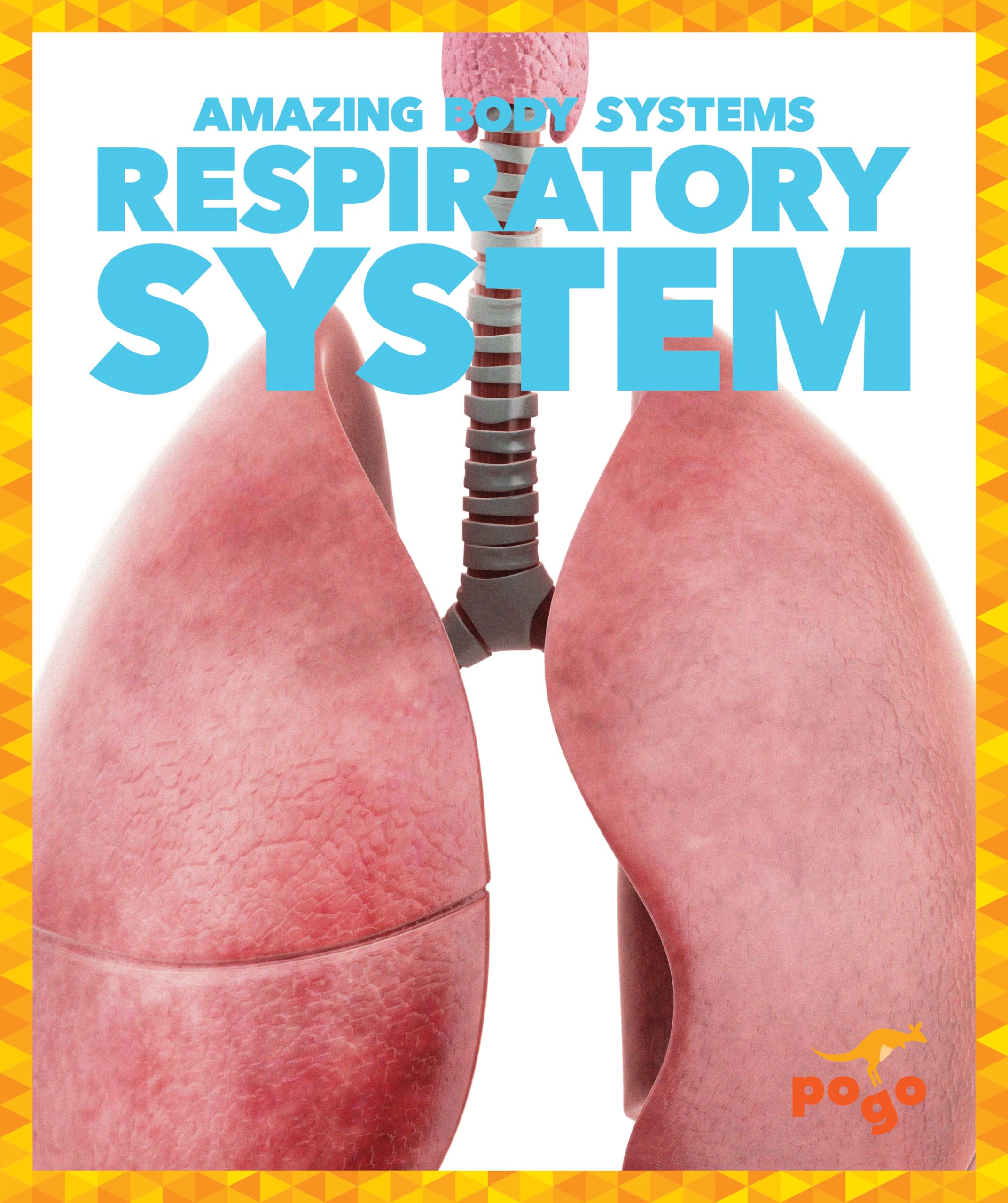 Snapklik.com : Respiratory System