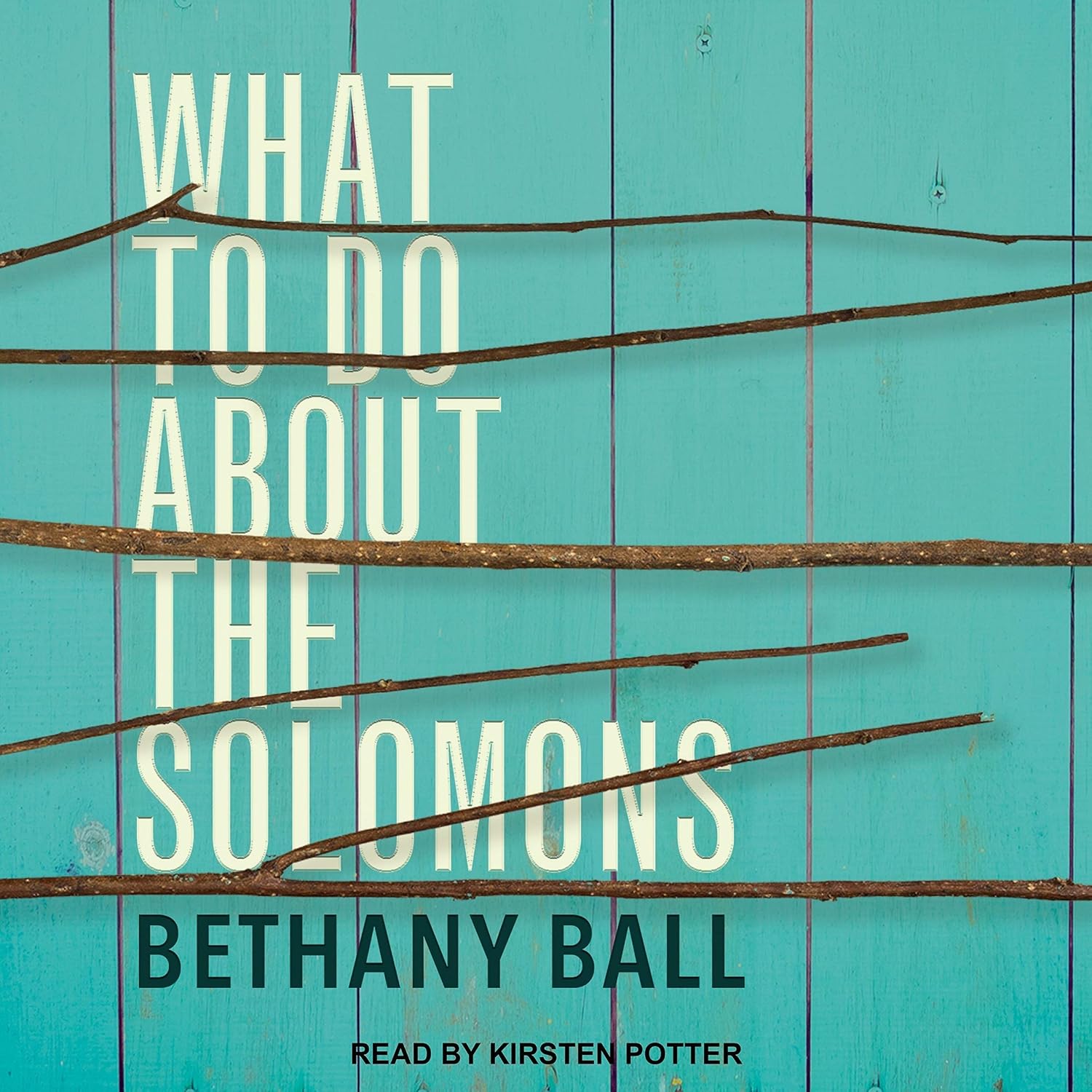 What To Do About The Solomons: Bethany Ball: 9781665144278: Amazon.com ...