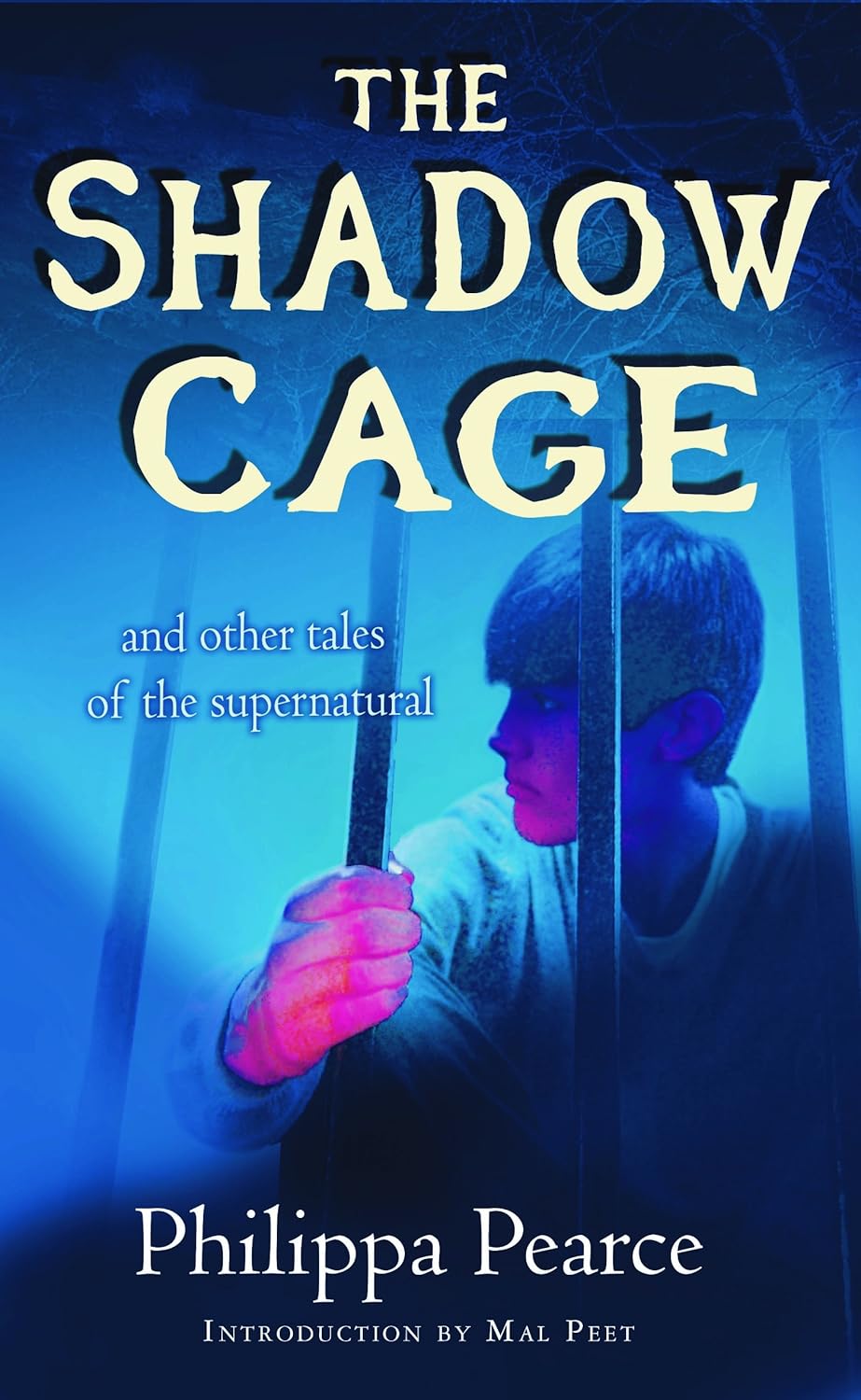 Shadow Cage: Philippa Pearce, Janet Archer: 9781903252406: Amazon.com: Books