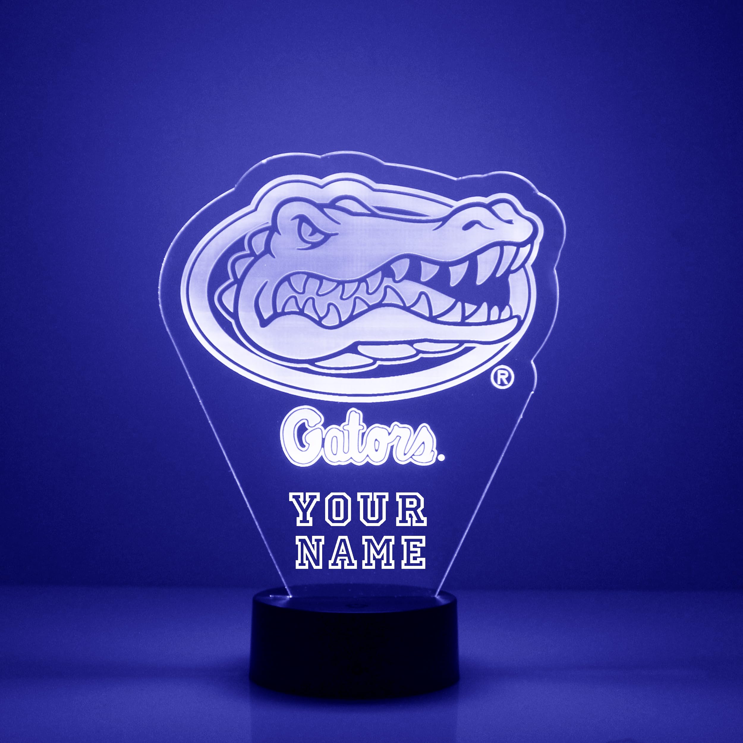 Amazon.com: Custom University of Florida Gators Logo LED Sign Night ...