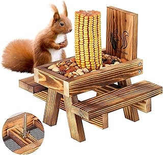 Understanding Squirrel Setup: A Comprehensive Guide For Beginners | PetShun