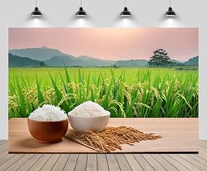 Amazon.com : CHNYWORK 10ftx6.5ft Rice Field Backdrop White Rice and ...