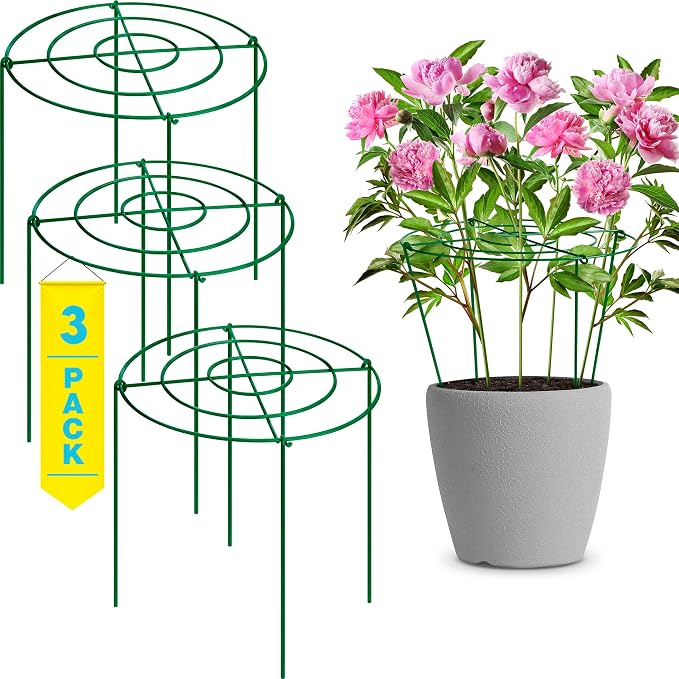 Amazon.com : Gray Bunny Peony Support, Peony Cage (3 Pack) Extra Large ...