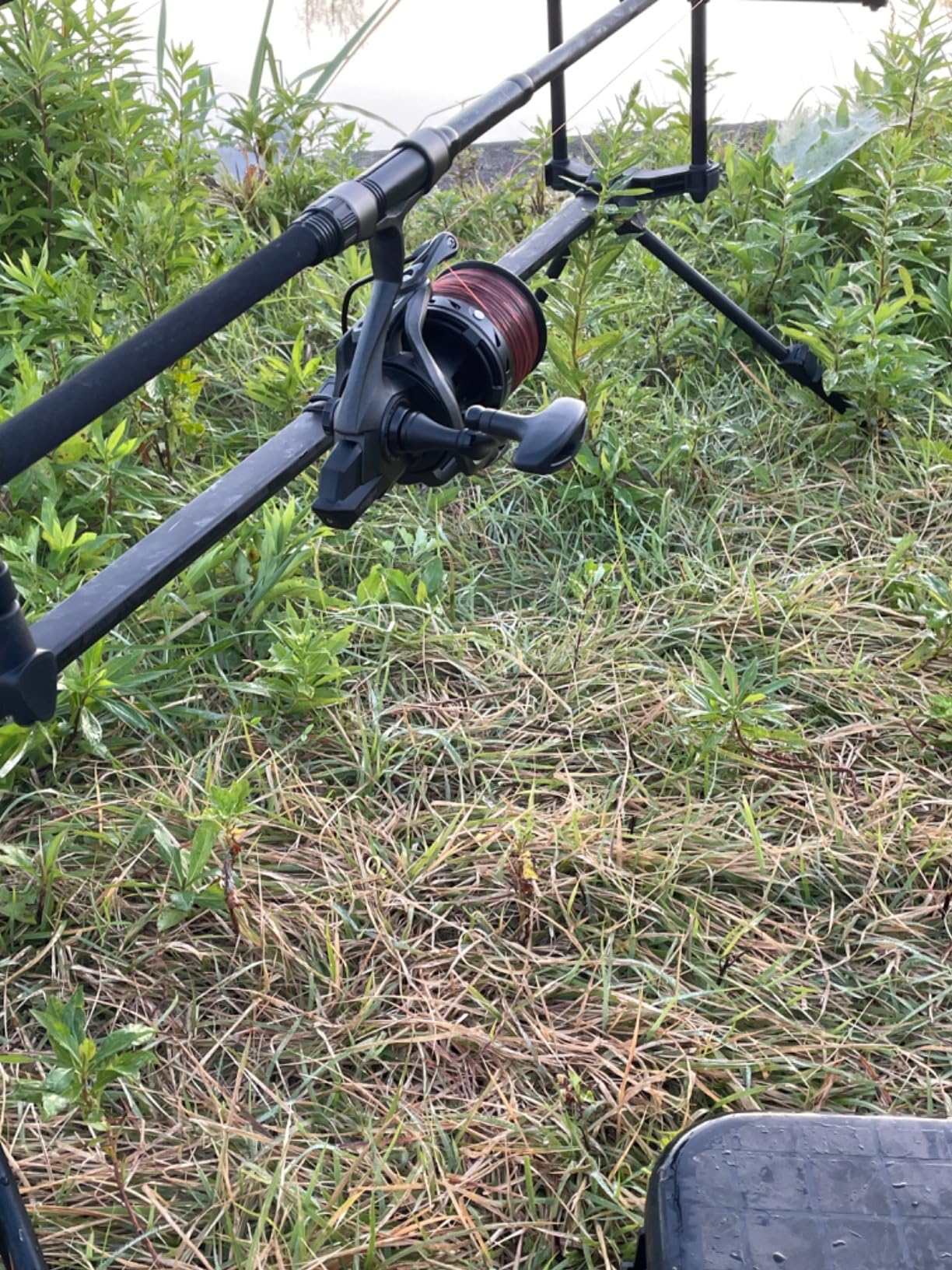 Amazon | [CarpQuest] スピニング ビッグピットリール ABDUCTION9000 アブダクション 鯉釣り カープフィッシング | CarpQuest | スピニングリール