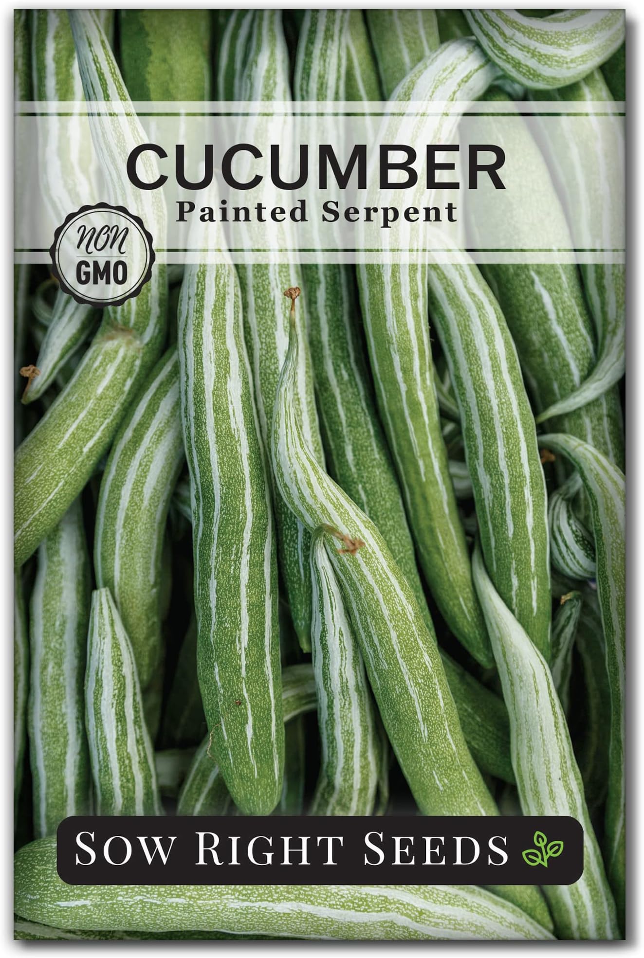 Amazon.com : Sow Right Seeds - Painted Serpent Cucumber Seeds for ...
