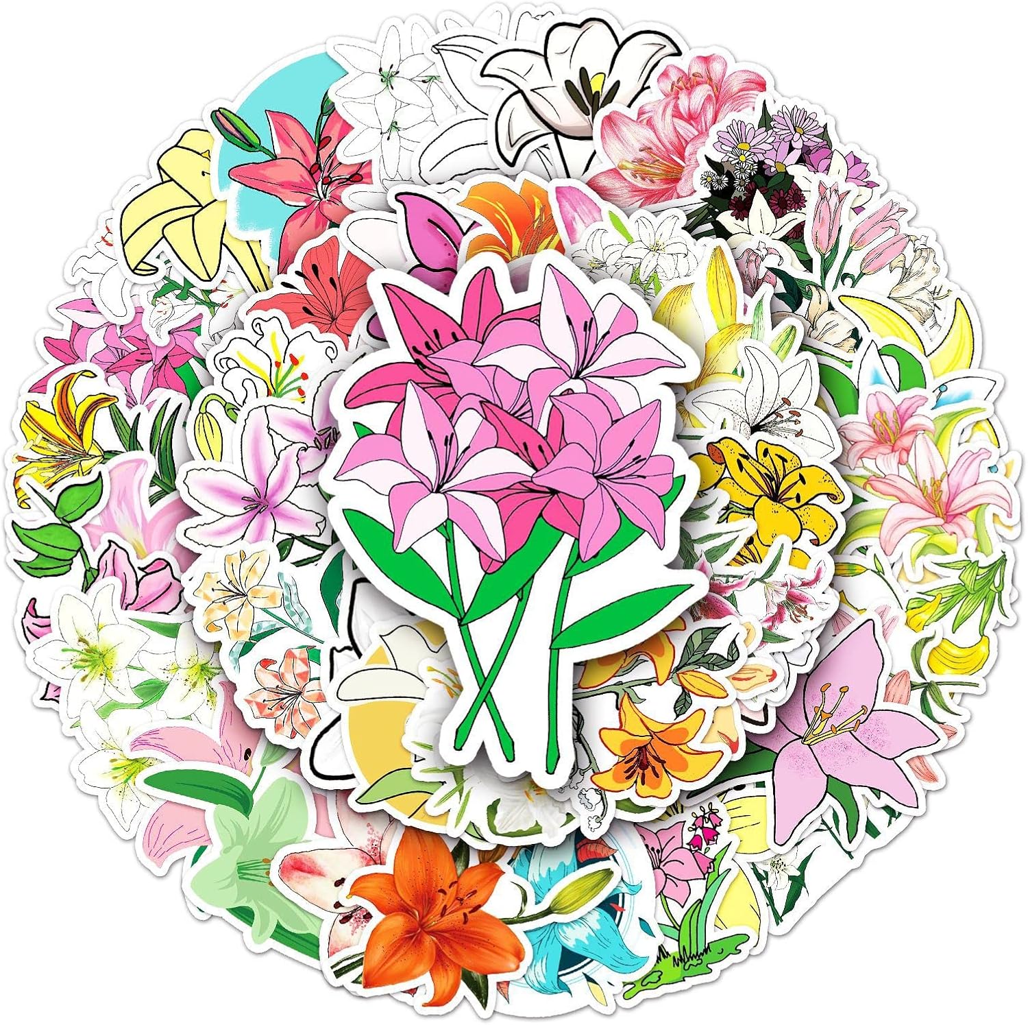 Amazon.com: 50 Packs Lily Stickers Water Bottles Laptop Phone Computer ...