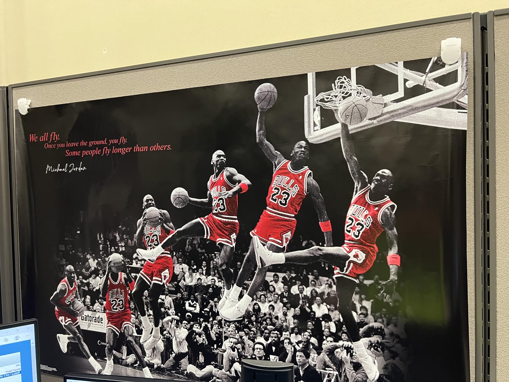 $10/mo - Finance Trends International Michael Jordan - Fly Wall Poster ...