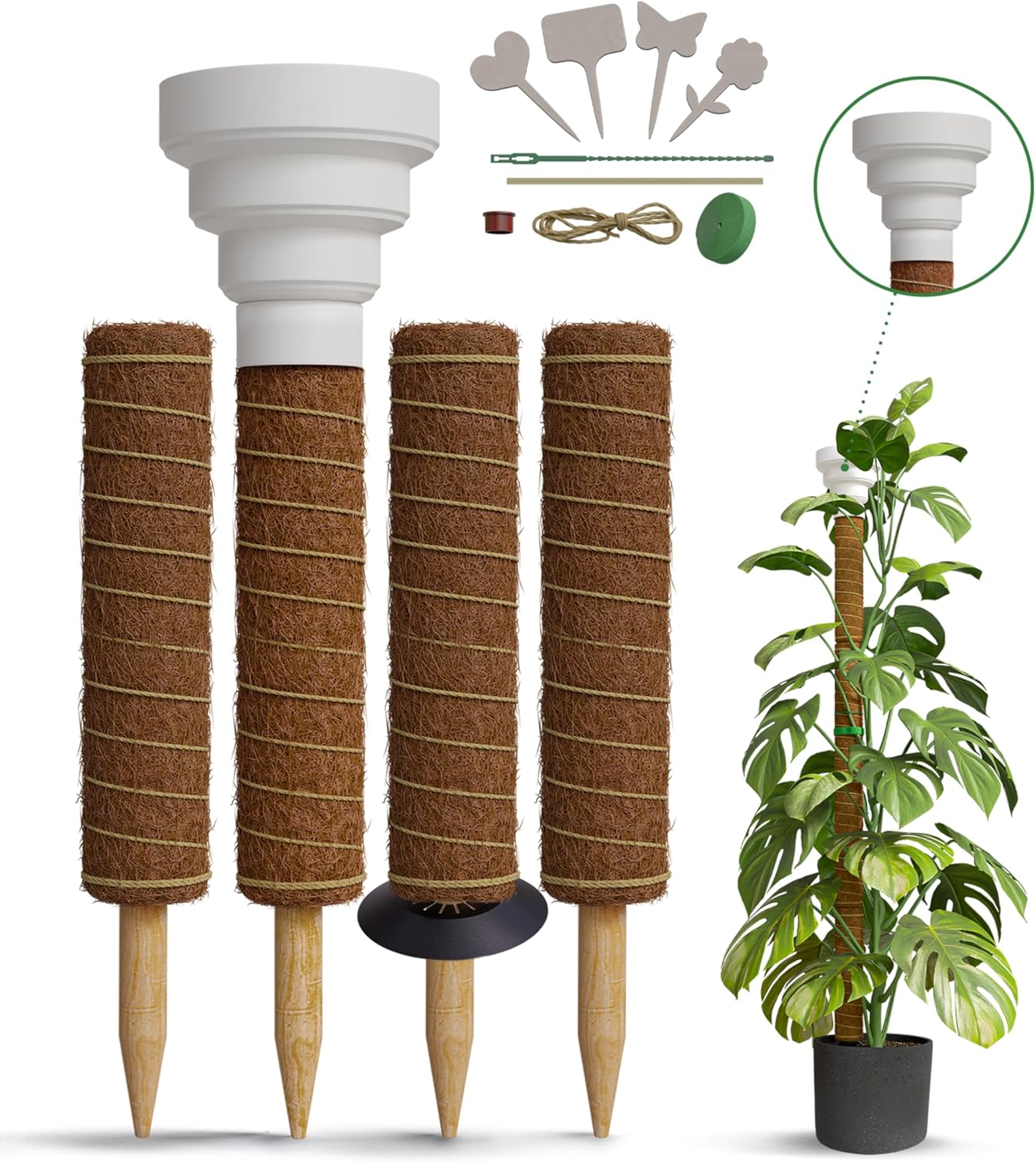 Amazon.com : Organo Republic Moss Pole Monstera Plant Support Stakes ...