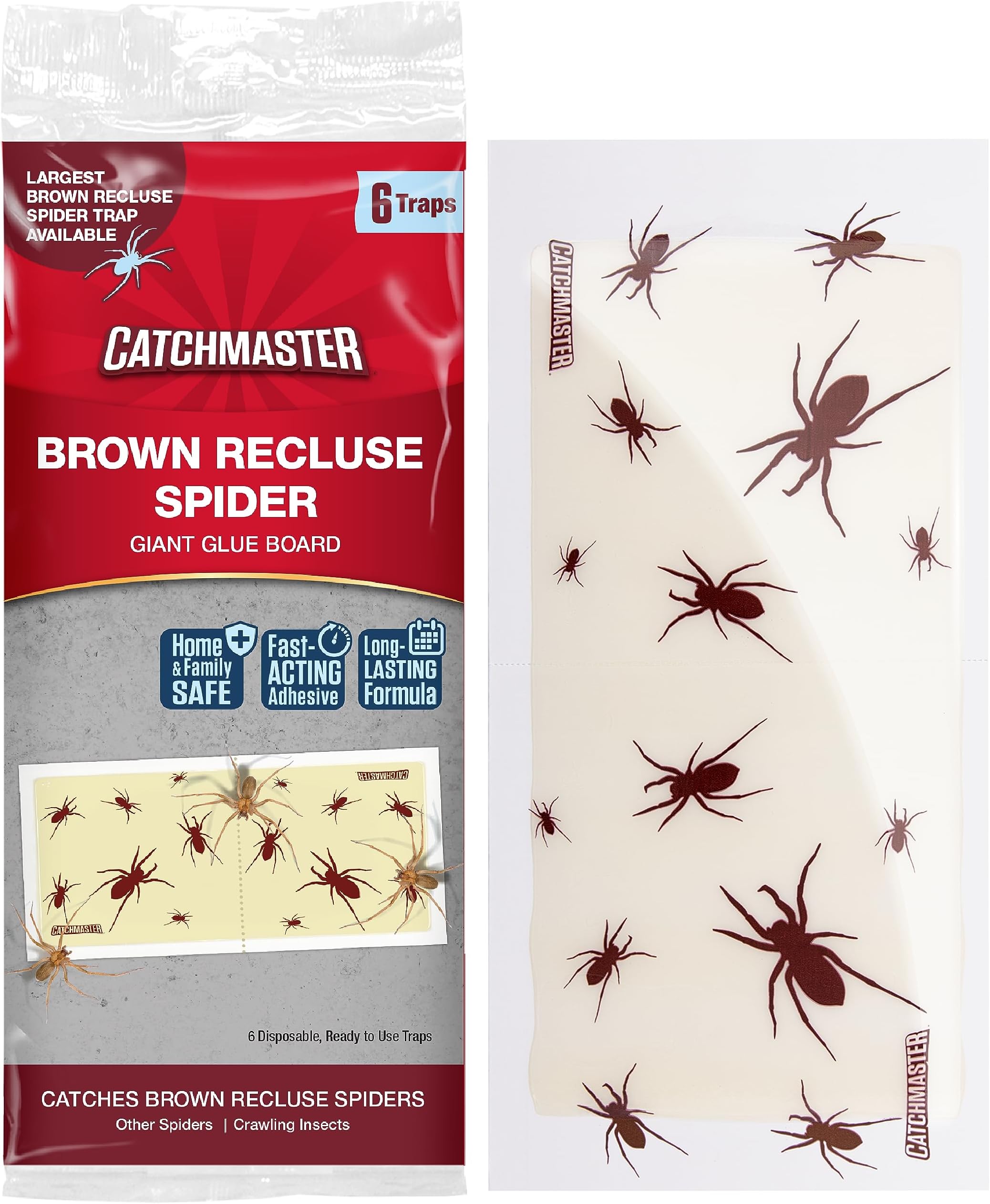 Amazon.com : Catchmaster 15 Brown Recluse Spider Traps (Non-Toxic ...
