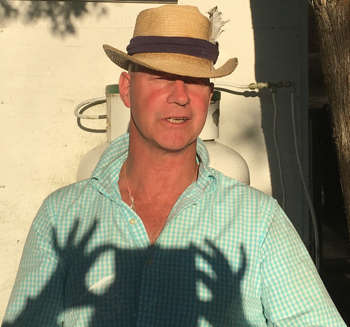 Amazon.com: Sam Truitt: books, biography, latest update
