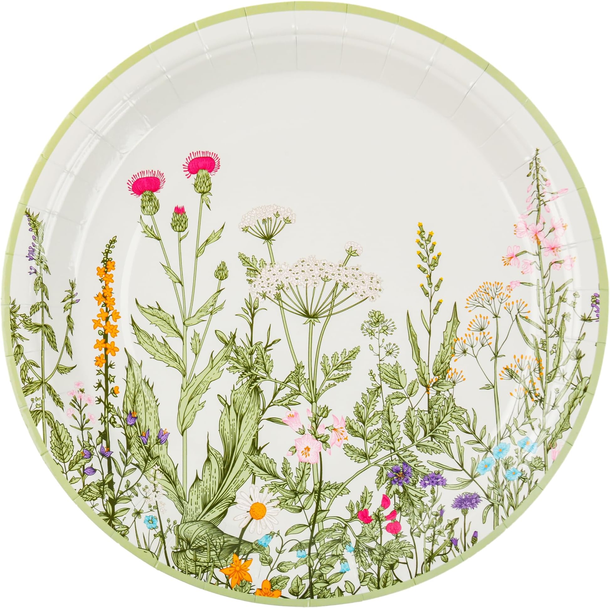 Amazon.com: Generic AnyDesign 50Pcs Spring Paper Plates Vintage ...