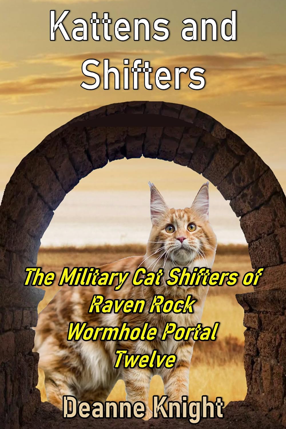 Amazon.com: Kattens and Shifters: Military Cat Shifters of the Raven ...