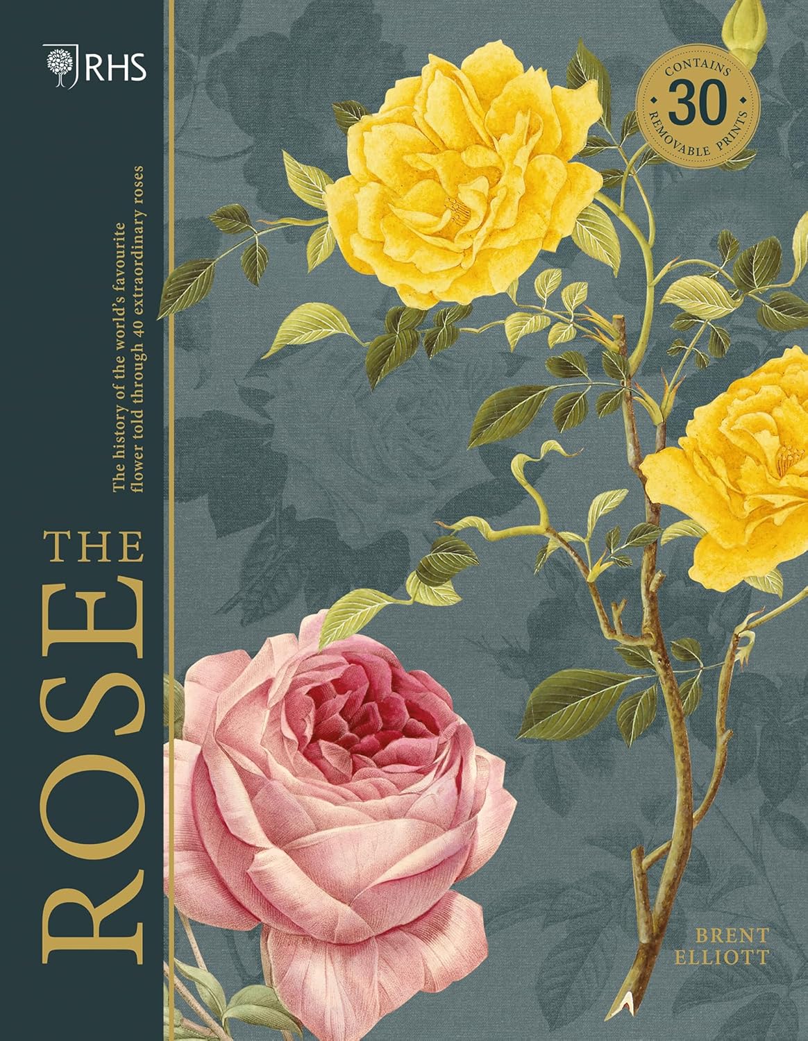 The Rose: The History of the World's Favourite Flower Told Through 40 ...