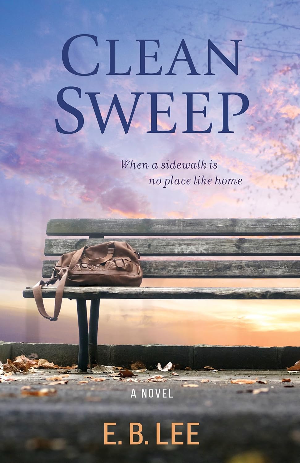 Amazon.com: Clean Sweep: A Novel eBook : Lee, E. B.: Kindle Store