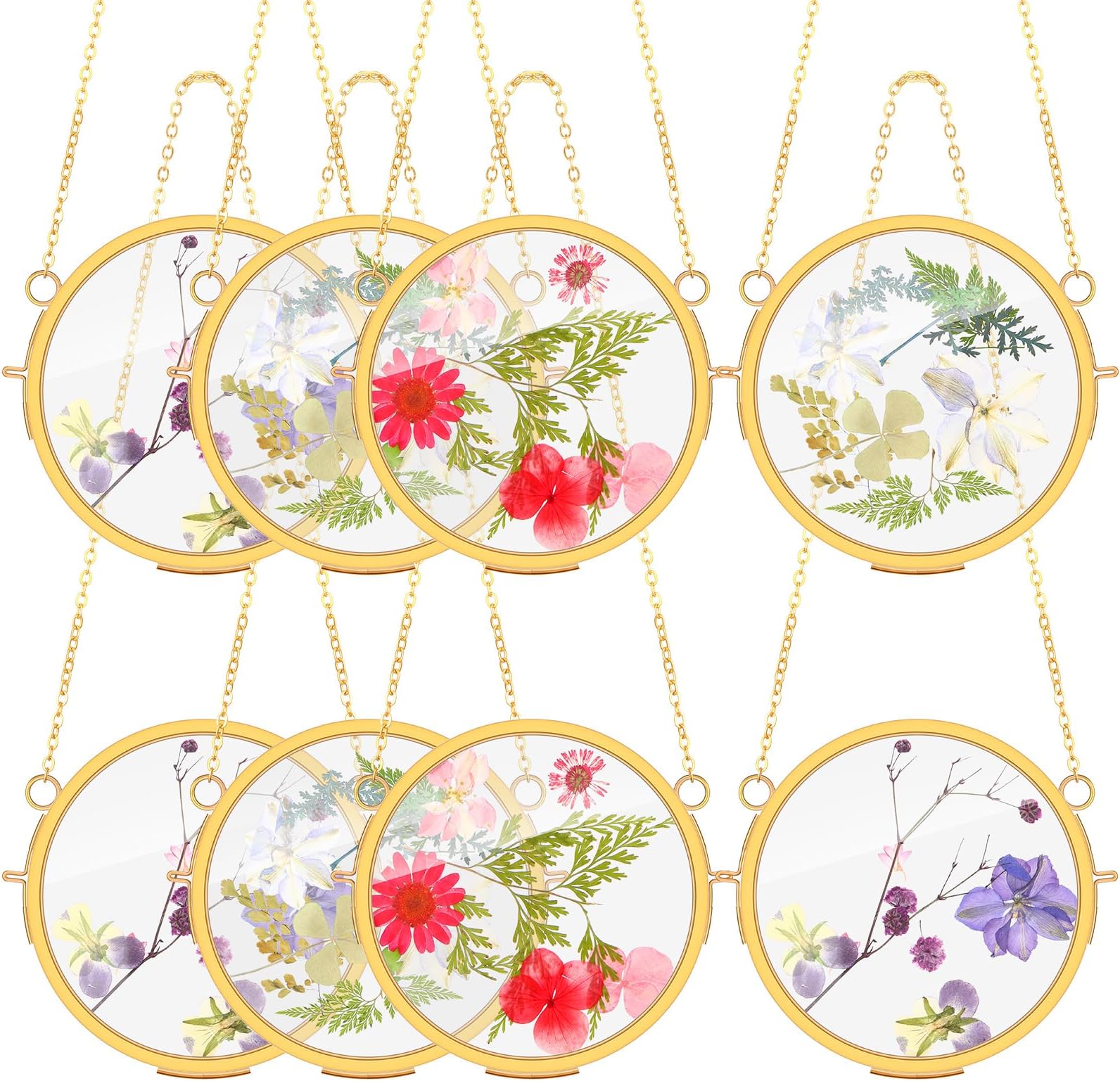Amazon.com - Wonderjune 8 Pcs Oval Hanging Pressed Flowers Frame 4 x 6 ...