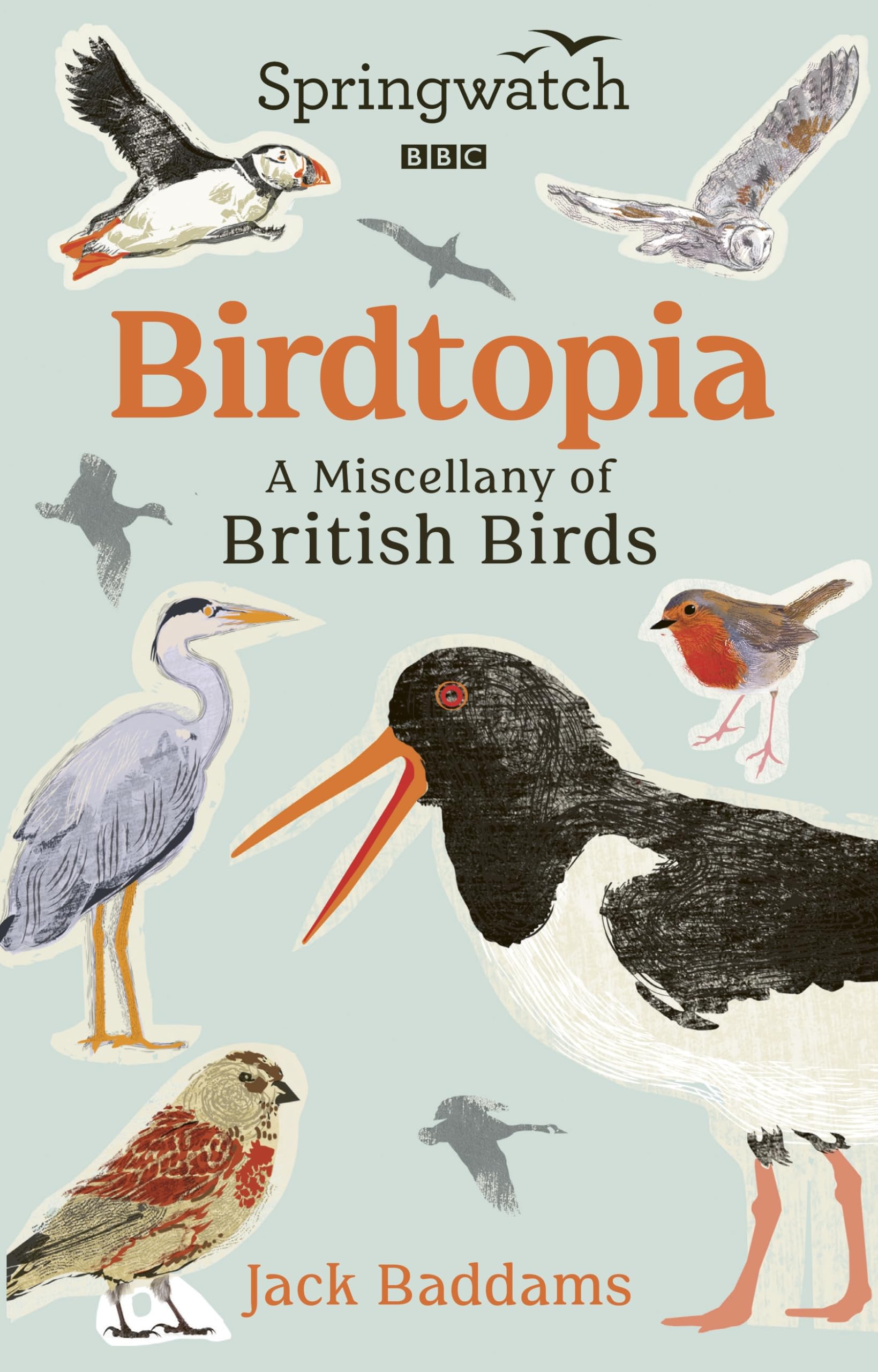 Springwatch: Birdtopia : Baddams, Jack: Amazon.co.uk: Books